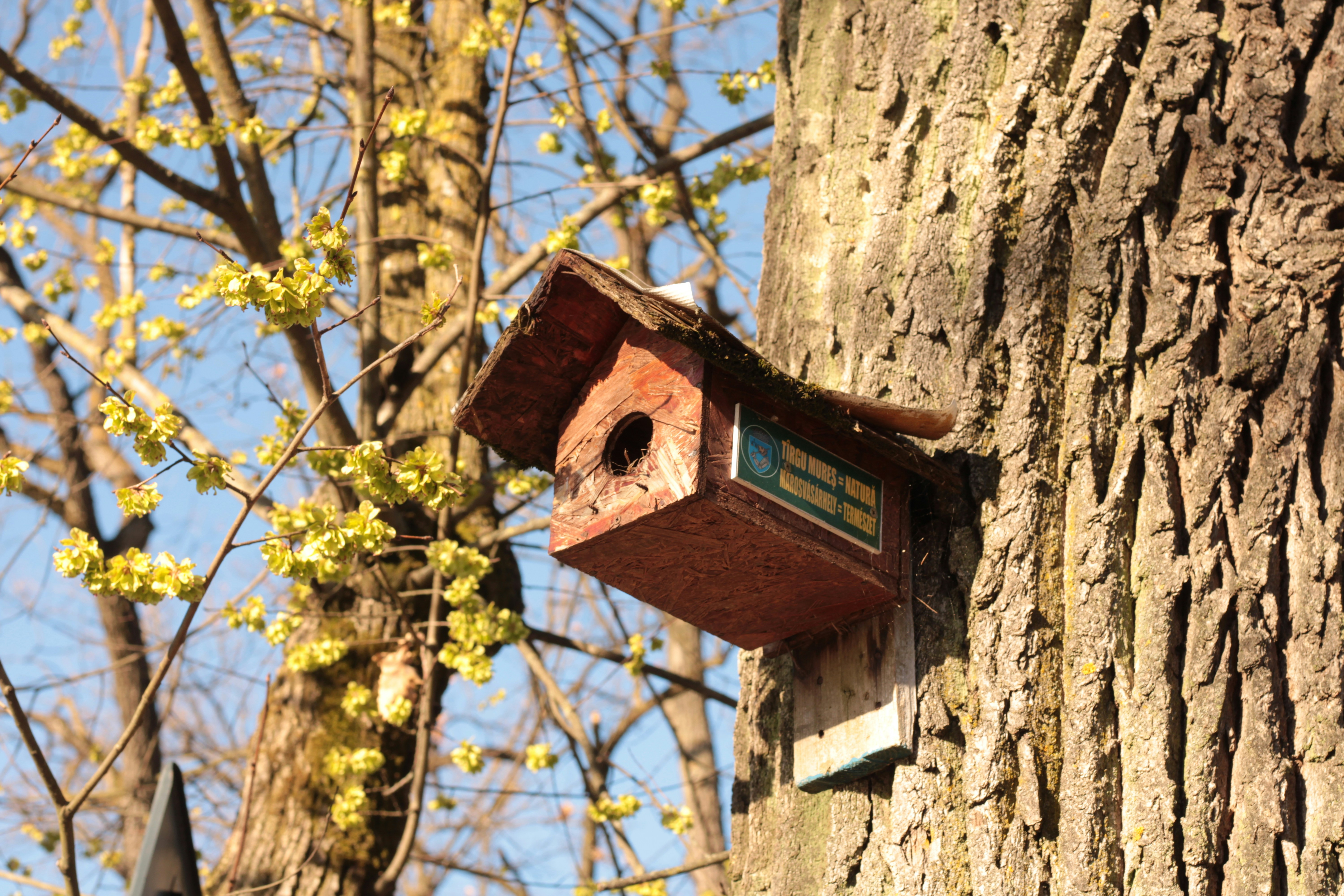 Photo by Theo Lonic with Canon EOS 2000D