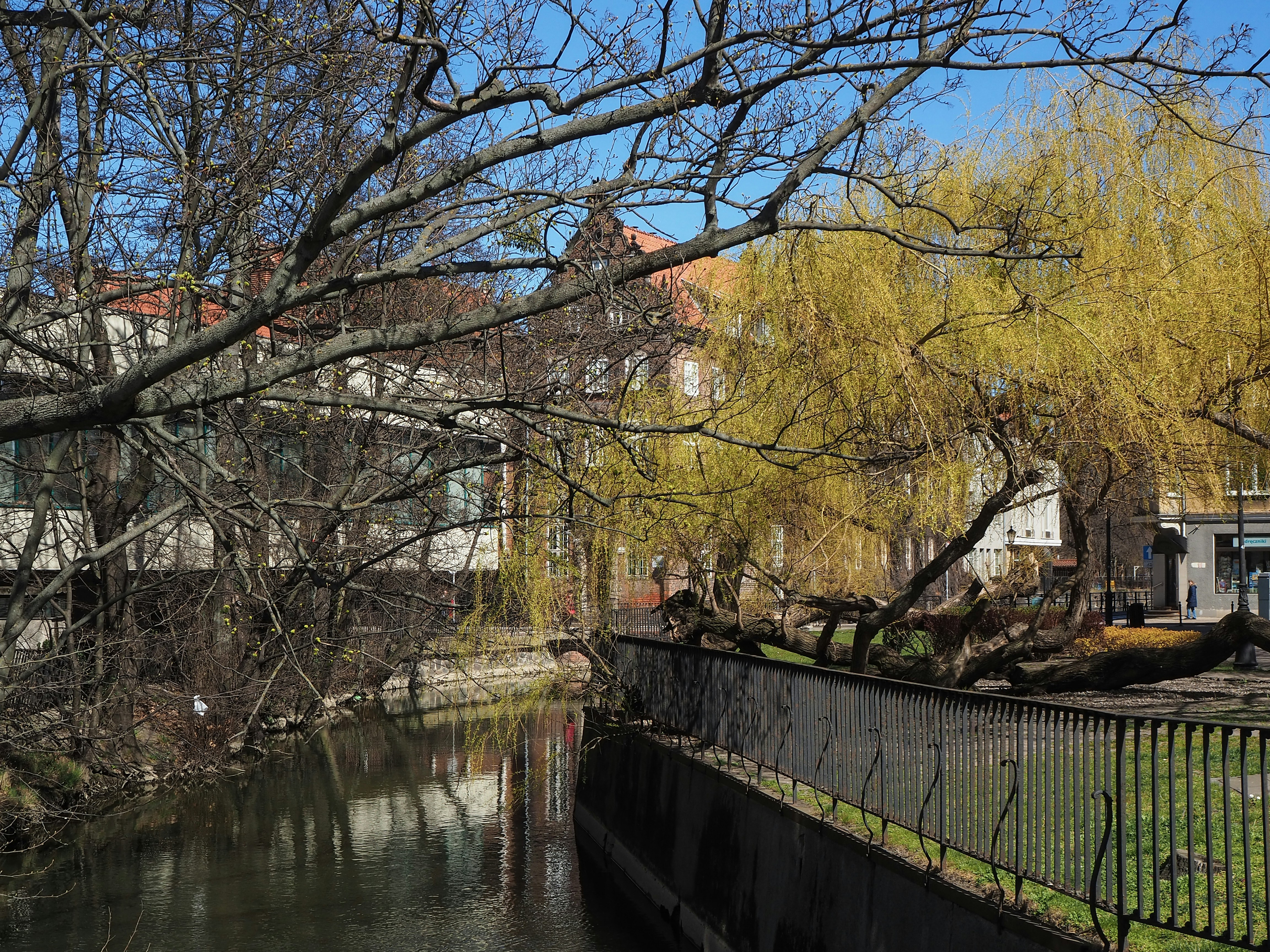 Photo by Lidia Stawinska with Olympus OM-D E-M10 Mark IIIs