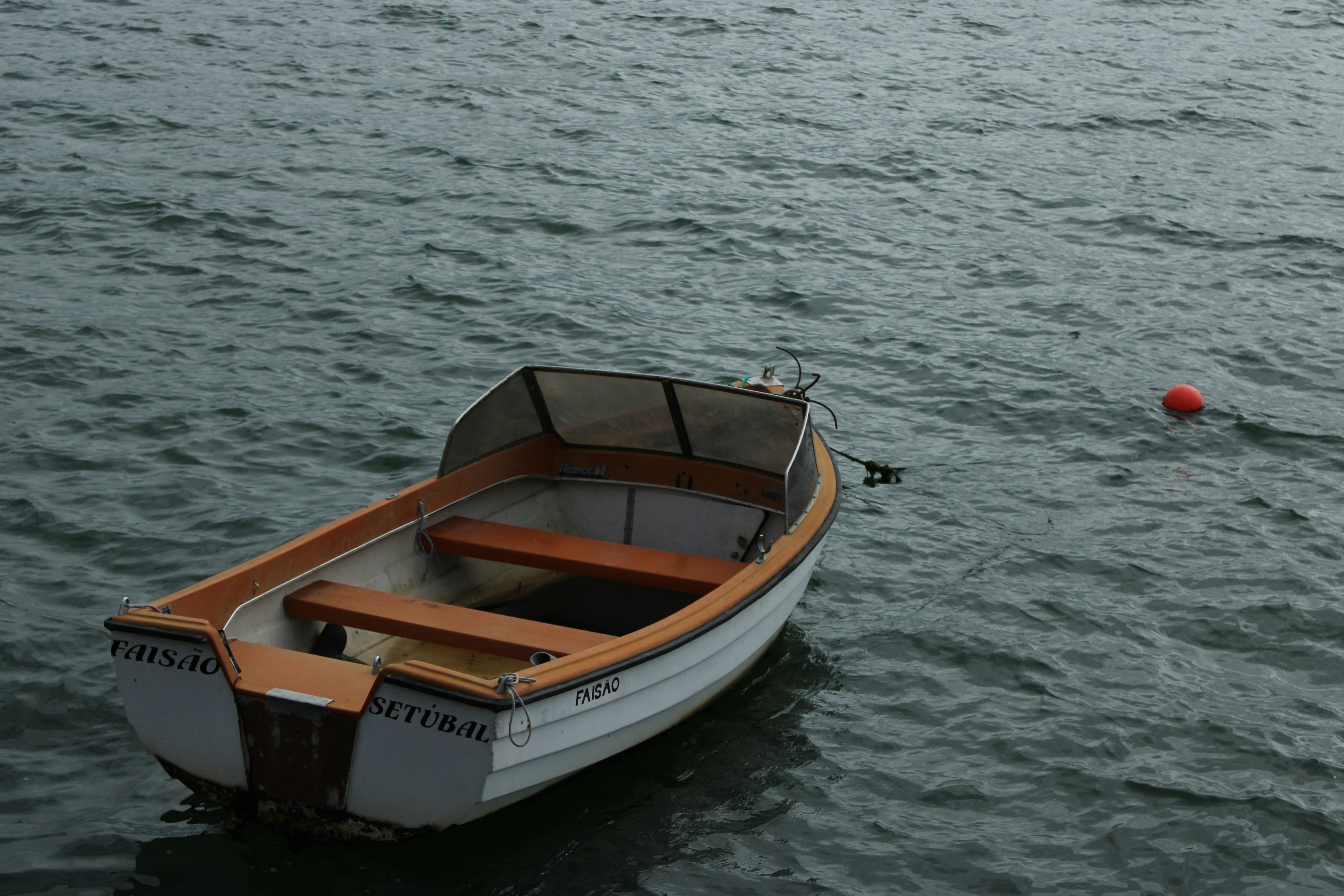 Top 8 Most Popular Boat Brands for Beginners in 2025 🚤 - Boat Brands