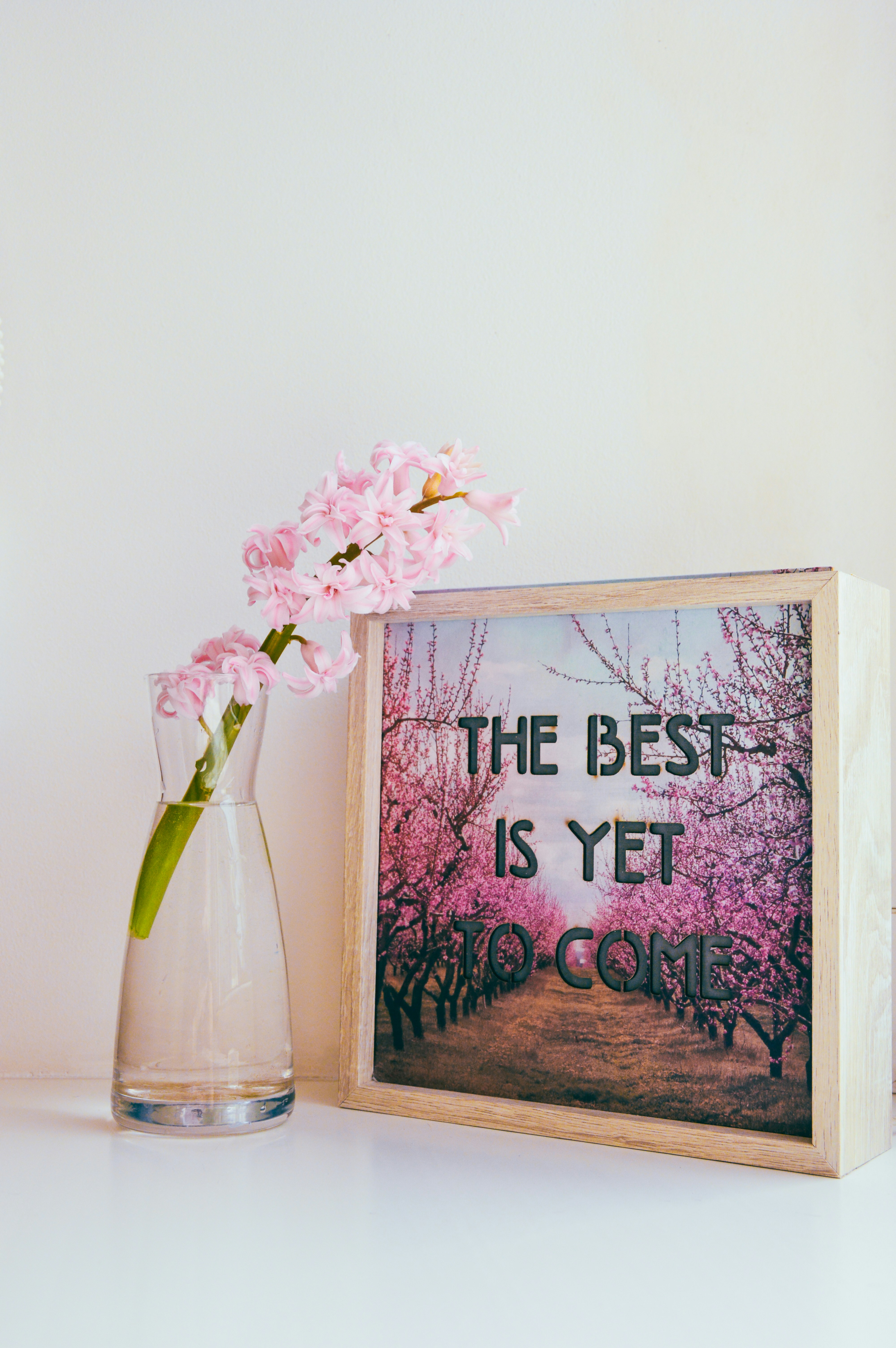 Floral still life with a positive signboard