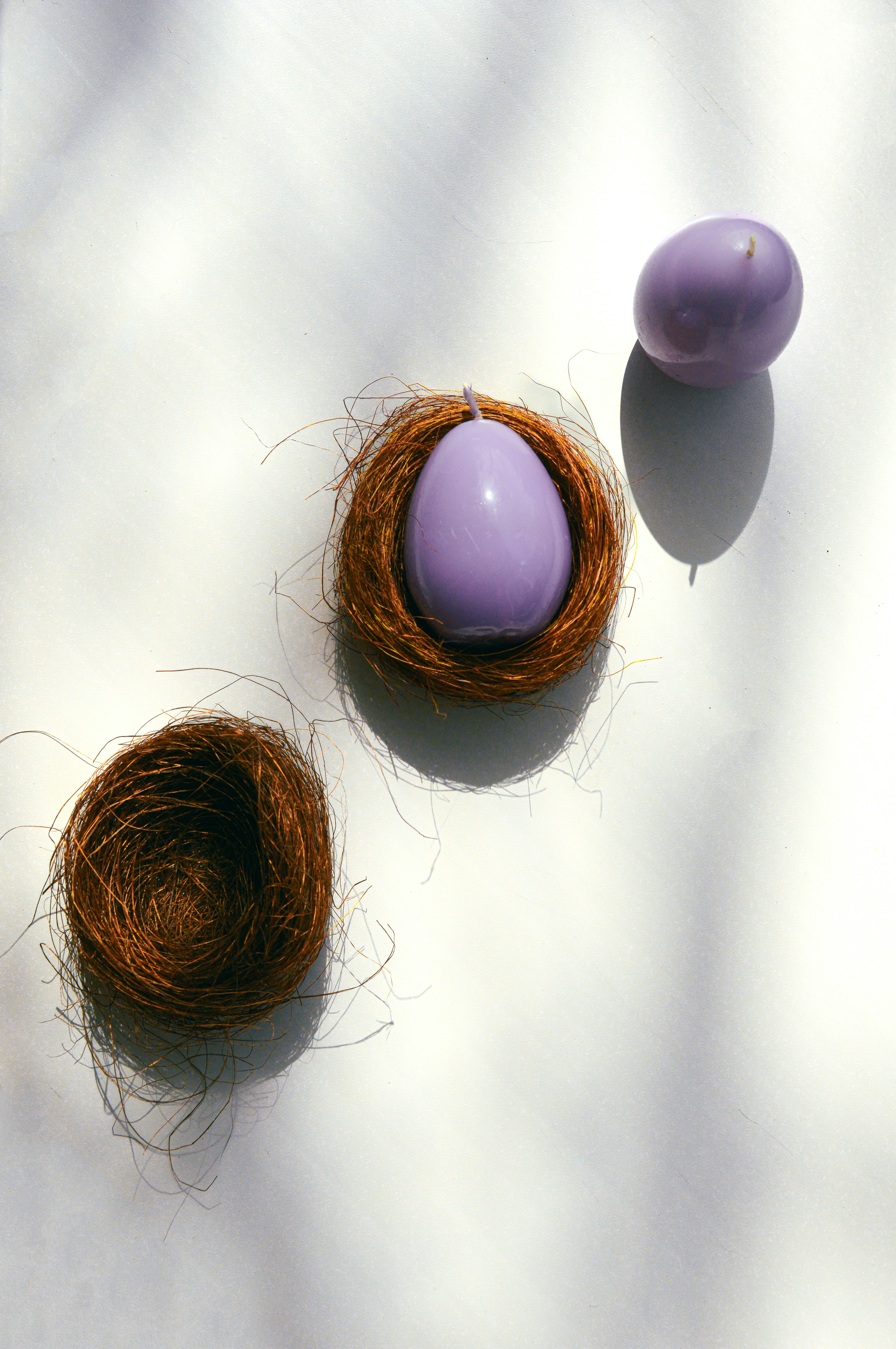 Lilac eggs resting in tiny nests on a sunlit white canvas