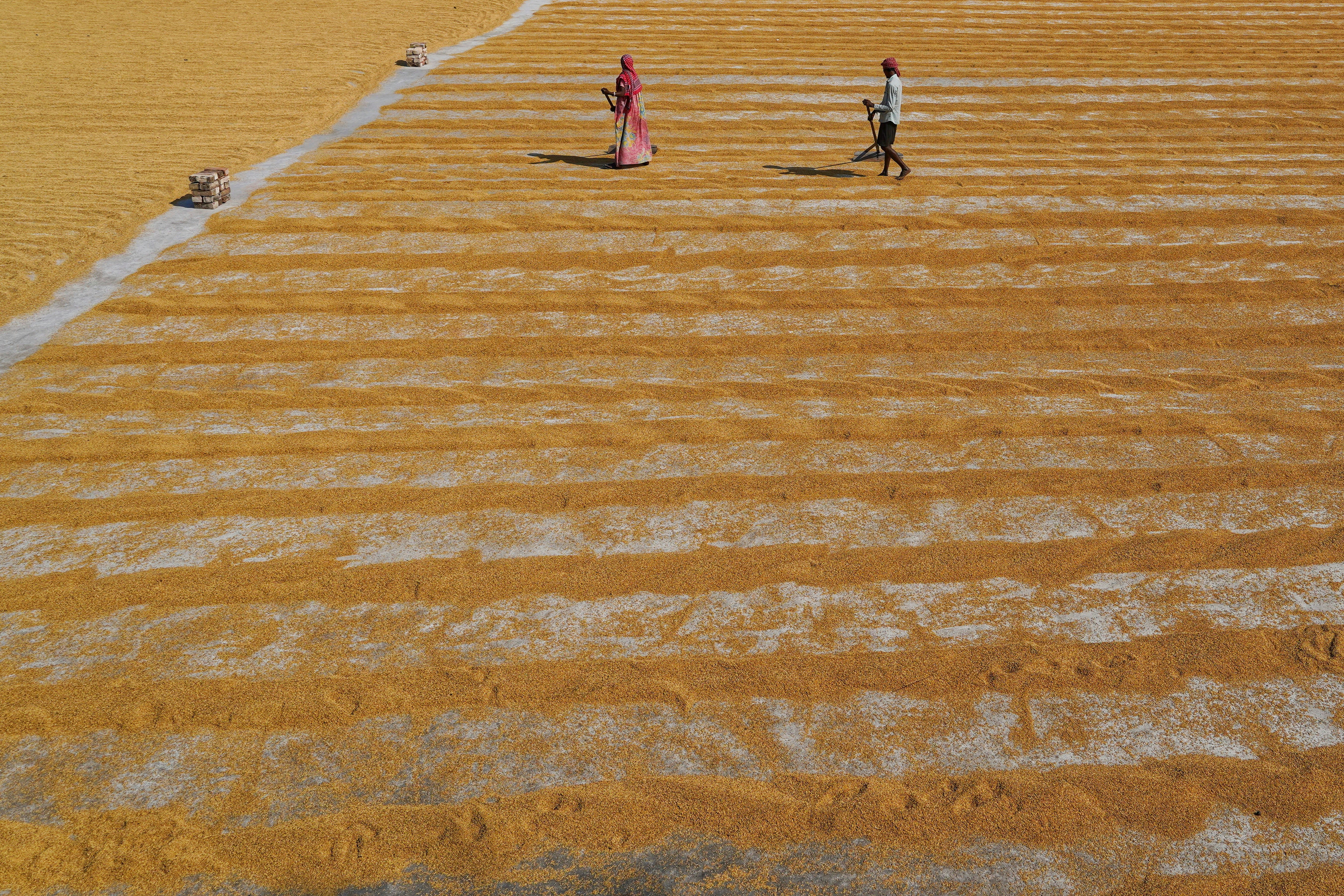 A couple of people walking across a sandy field photo – Free Outdoors ...