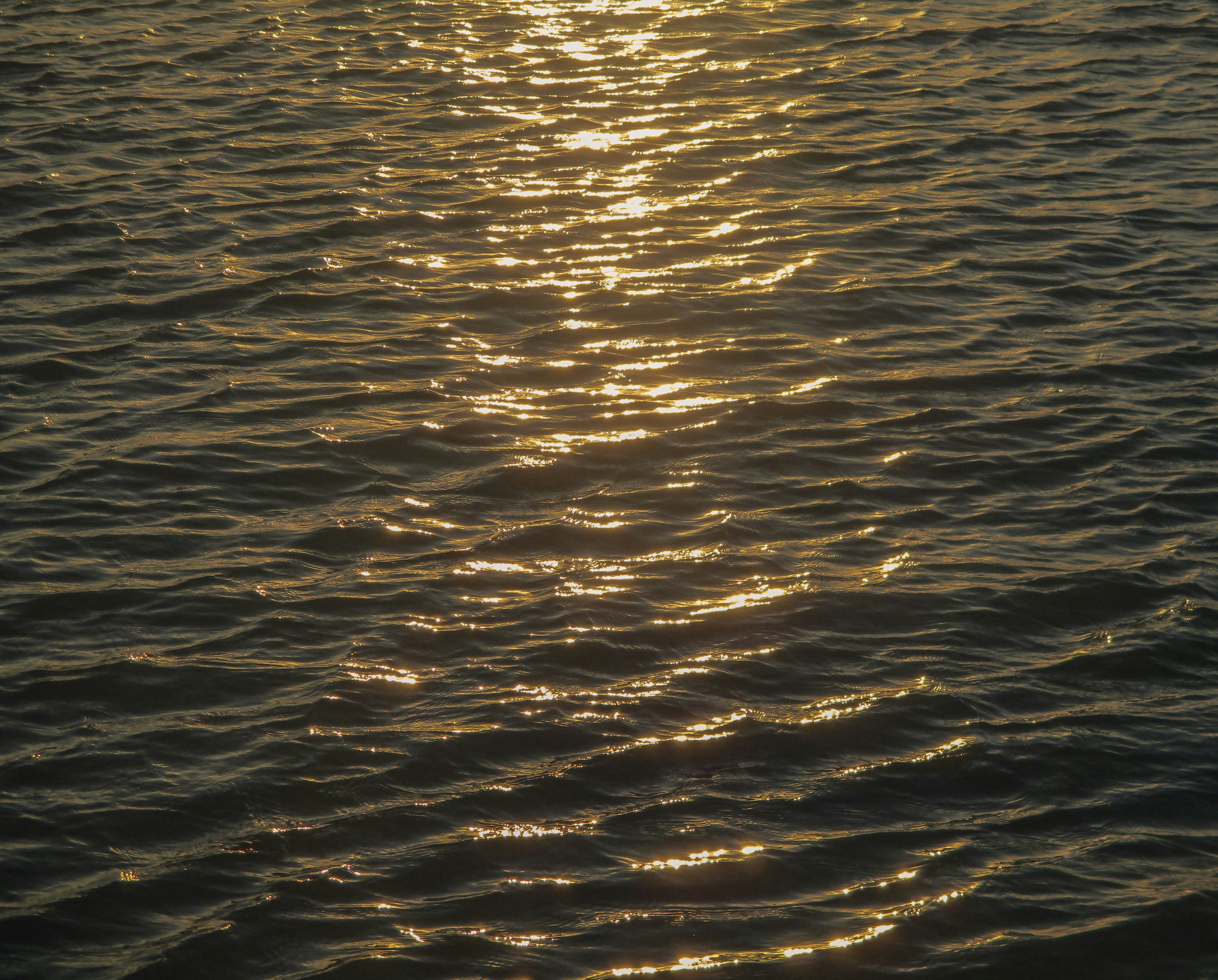 Golden sunlight reflecting on rippling water creates a mesmerizing pattern. The interplay of light and movement evokes a serene atmosphere.