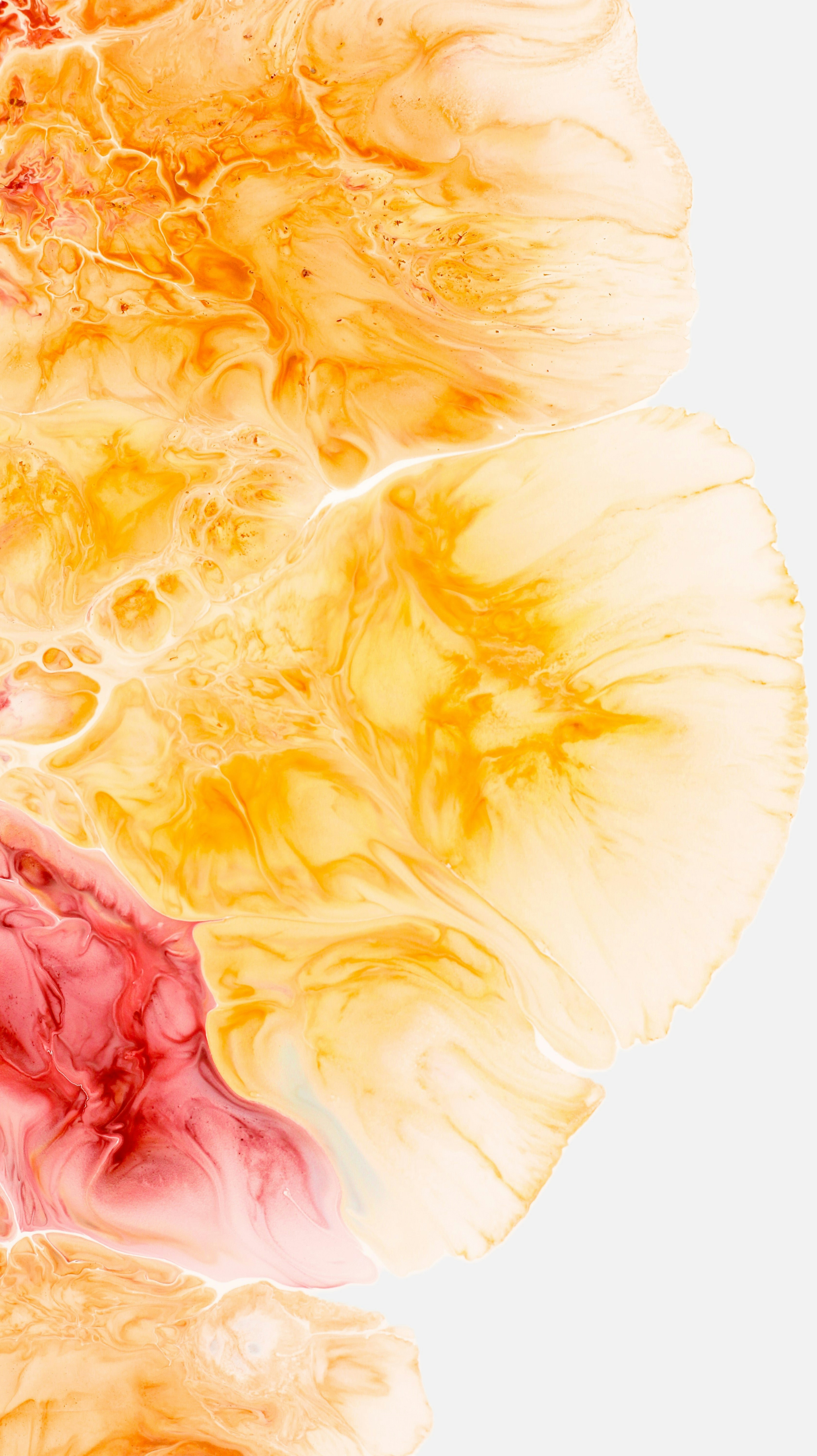 Citrus Petal Mosaic: Warm Swirls on White Canvas