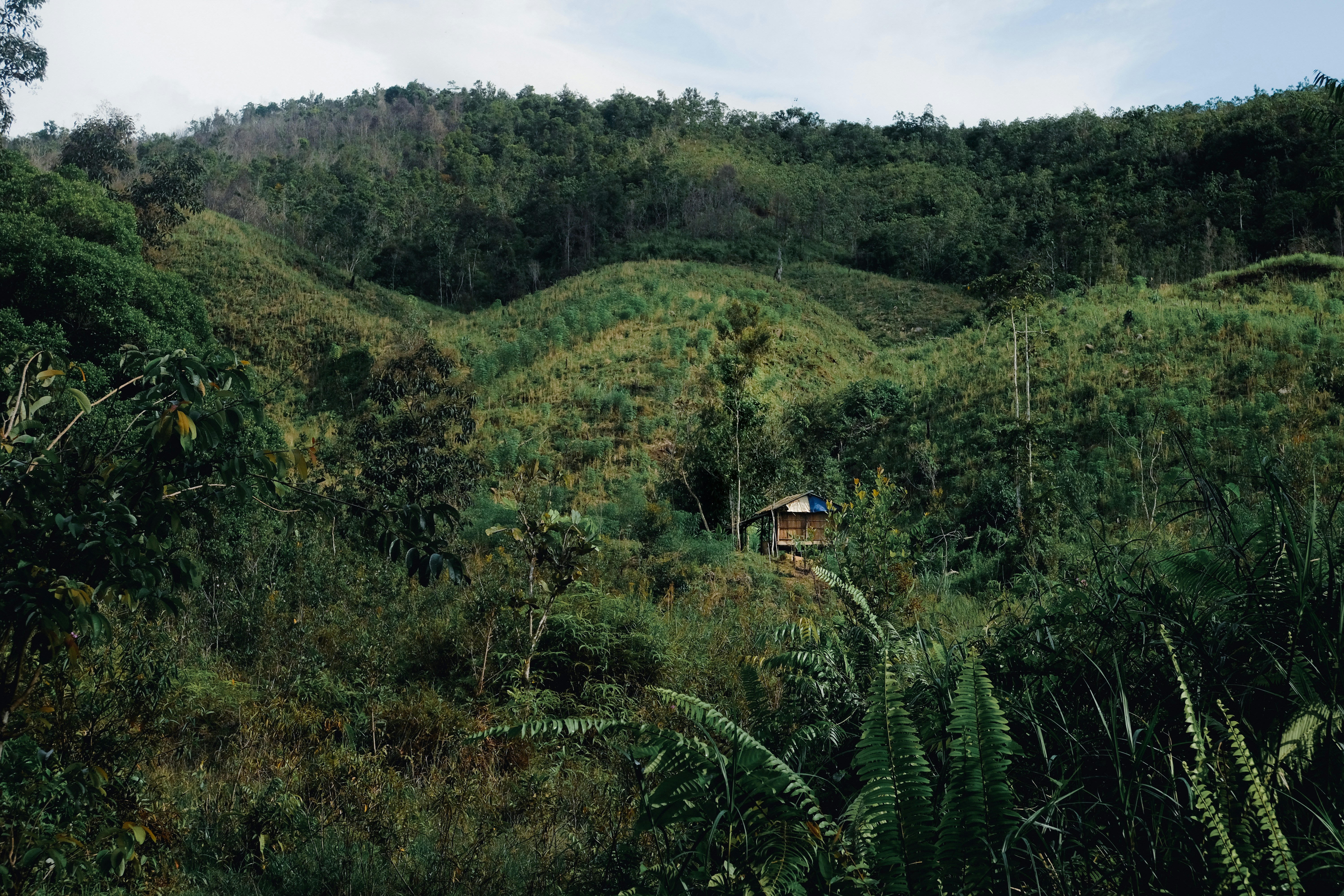 A small hut in the middle of a lush green hillside photo – Free Ella ...