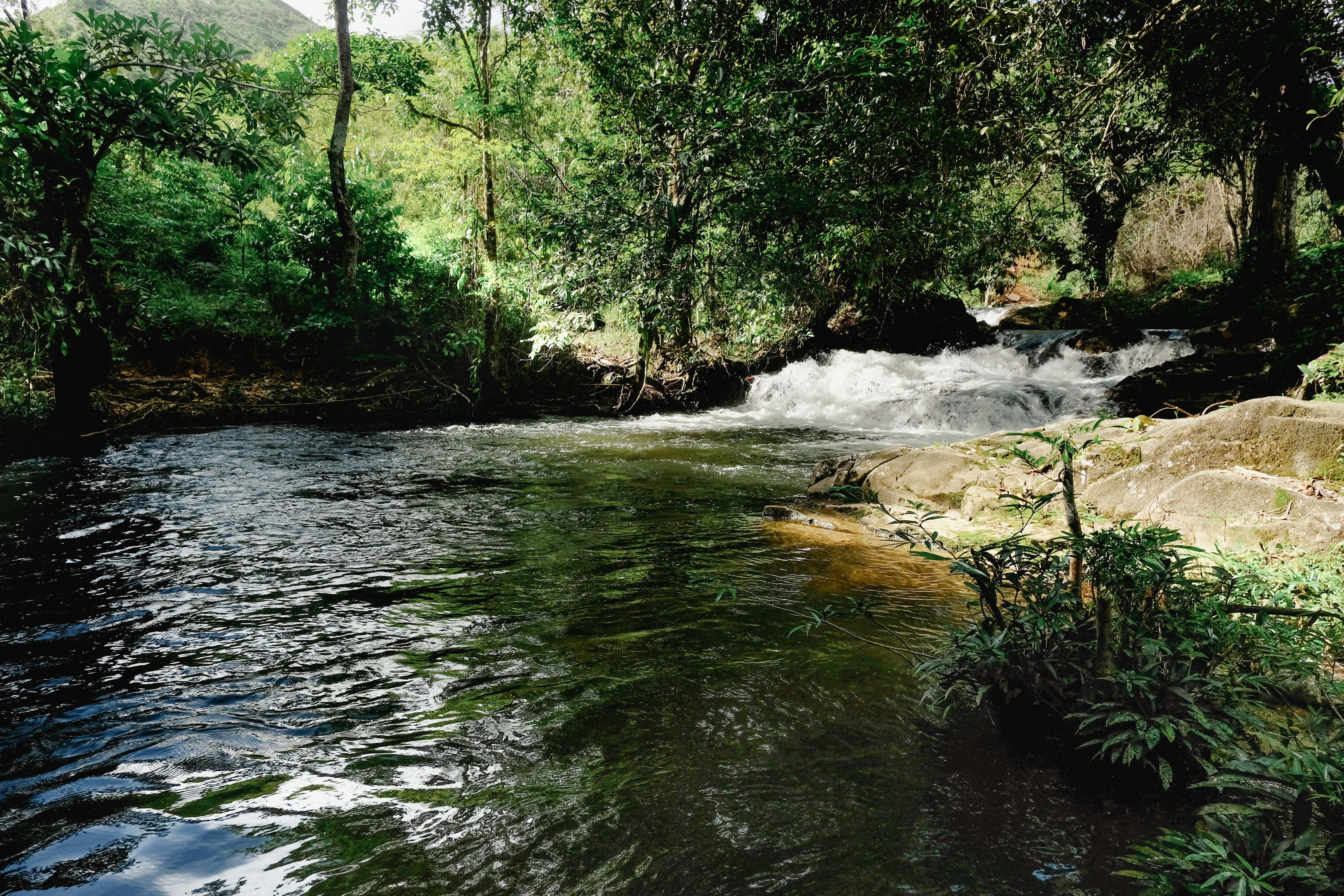 Roni Darmanto (@yobbyrony) | Komunitas Foto Unsplash