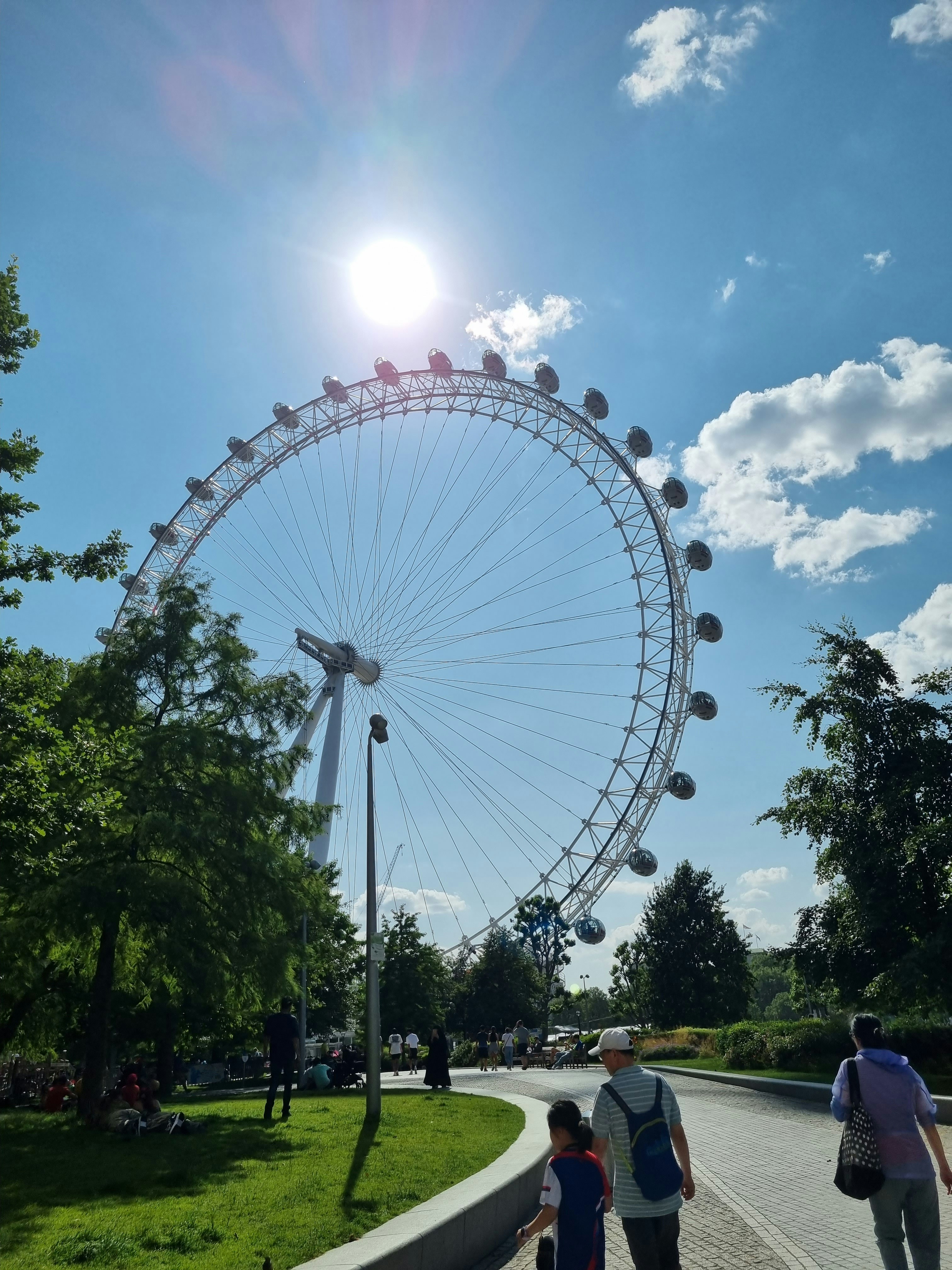 The London Eye | a large ferris wheel sitting on top of a lush green park