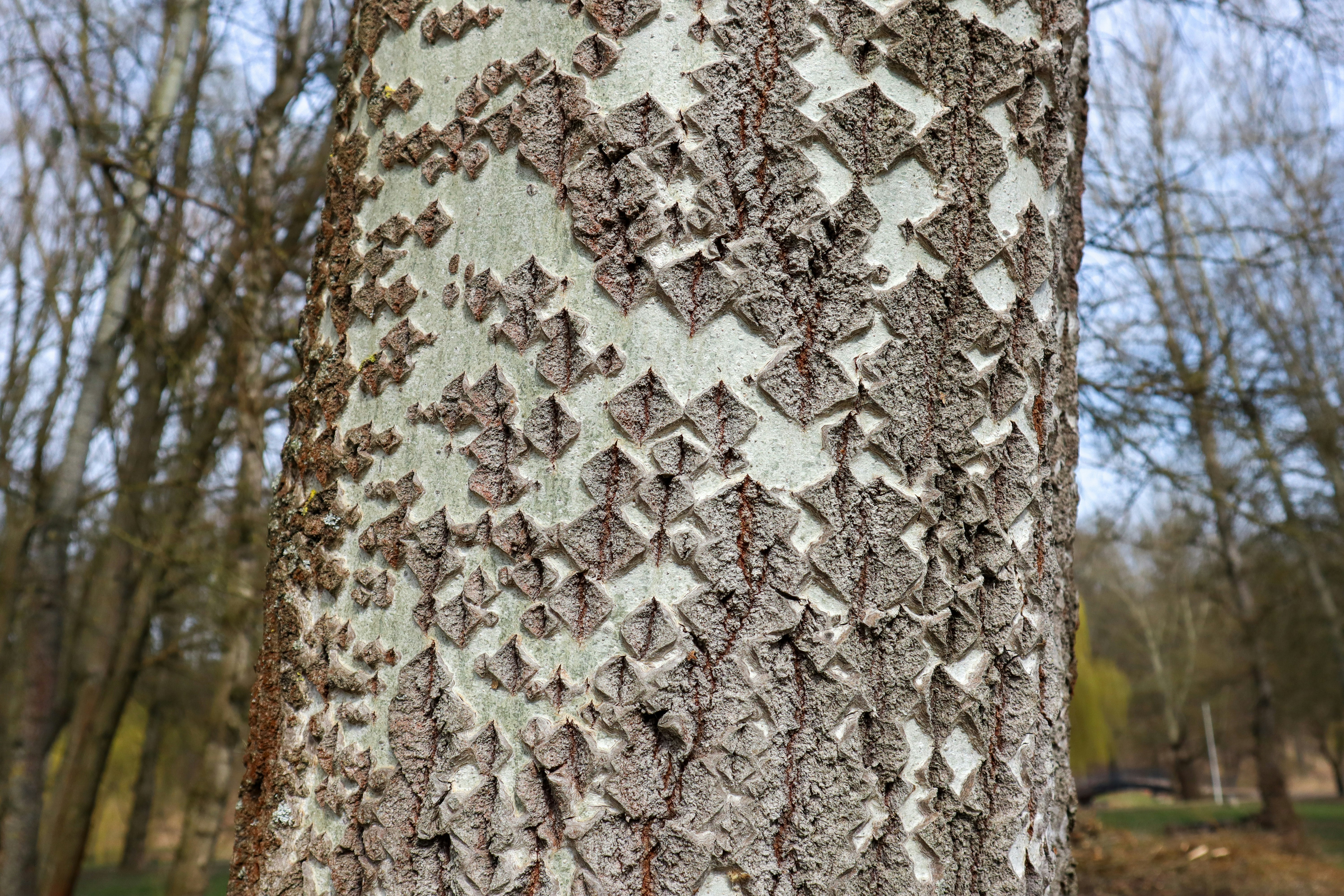 Photo by Aimable Mugabo with Canon EOS M50