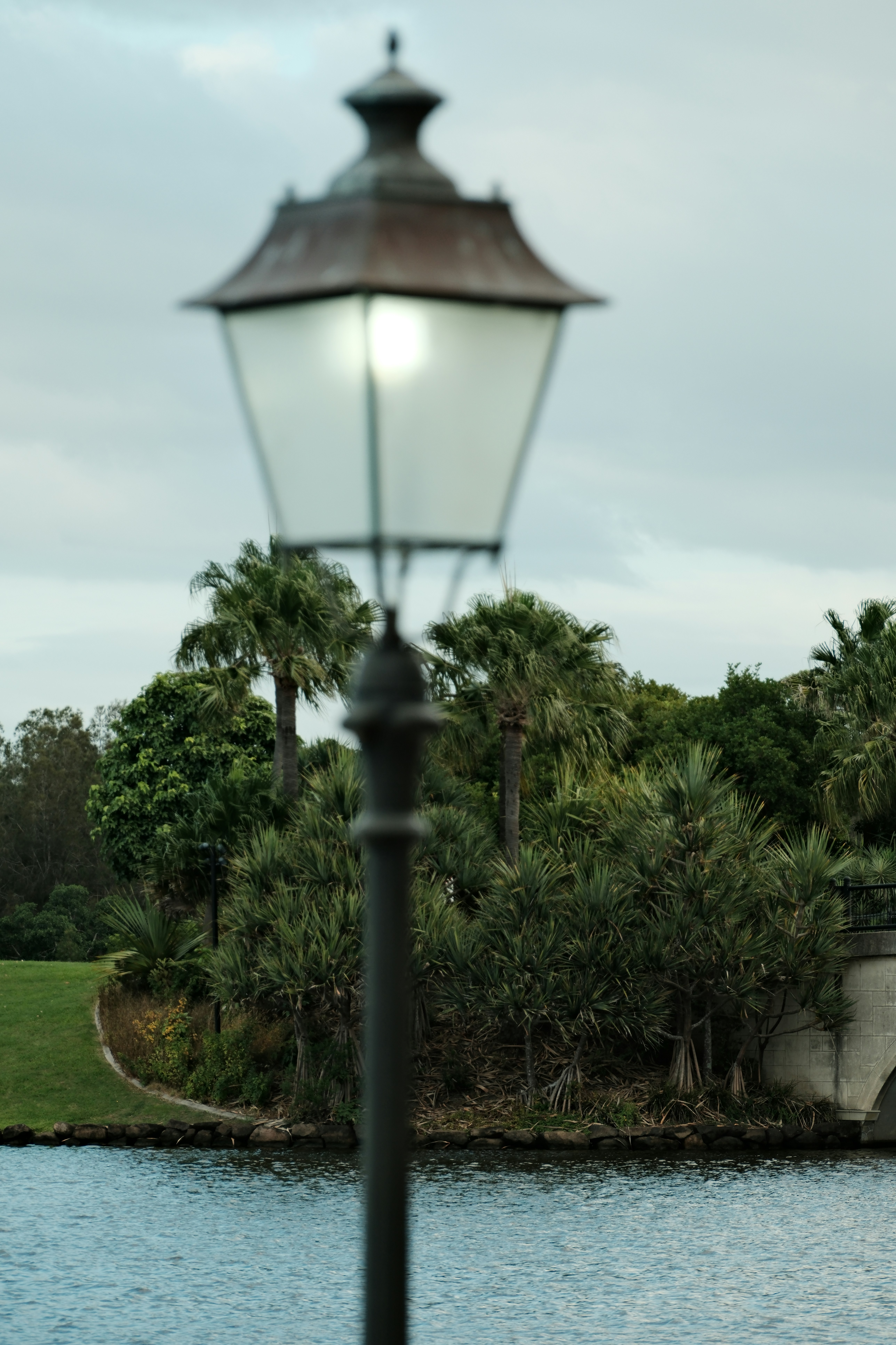 Lamplight at the Lakeside: A Soft-Focus Moment Among Palms