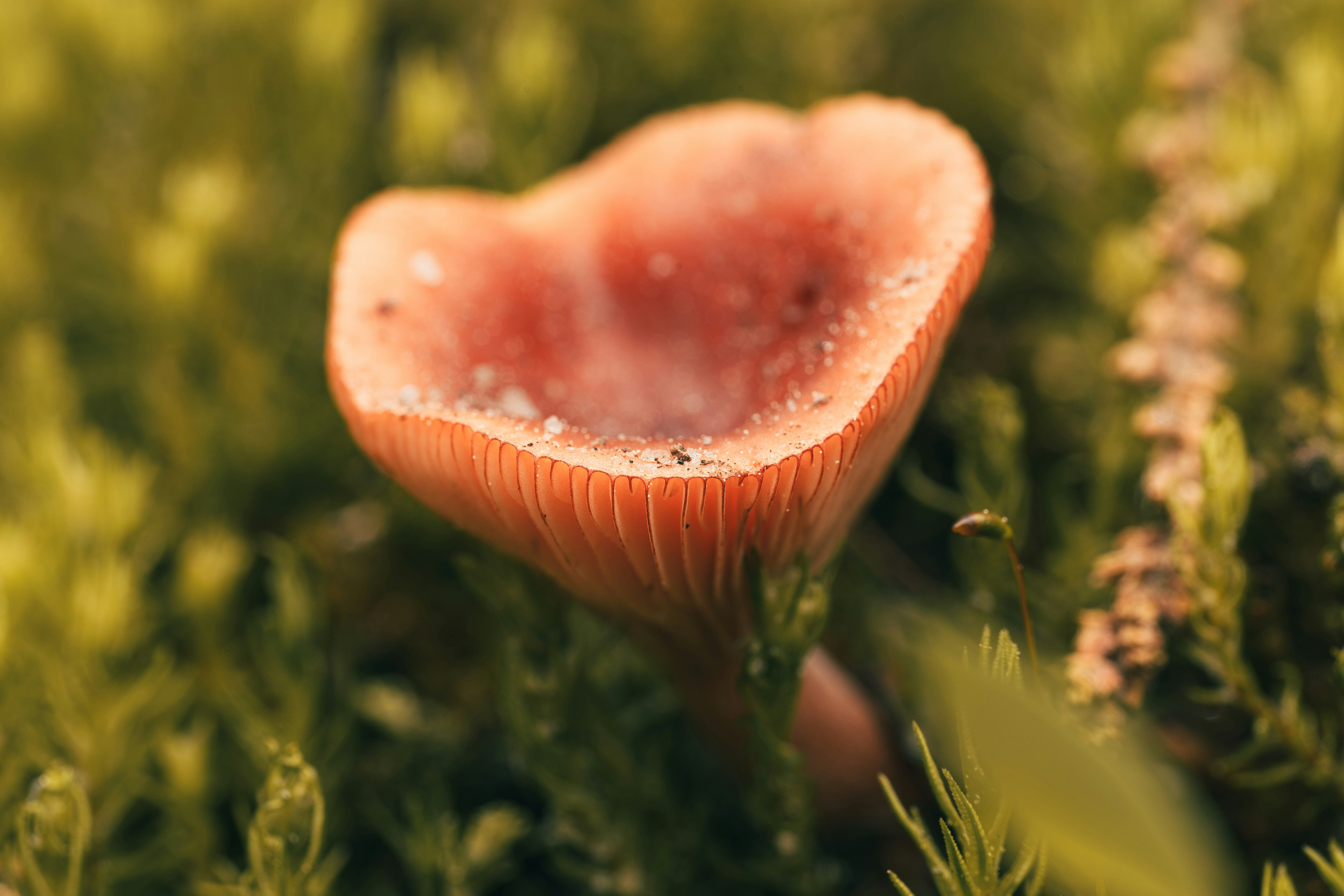 Timothy Dykes (@timothycdykes) | Unsplash Photo Community