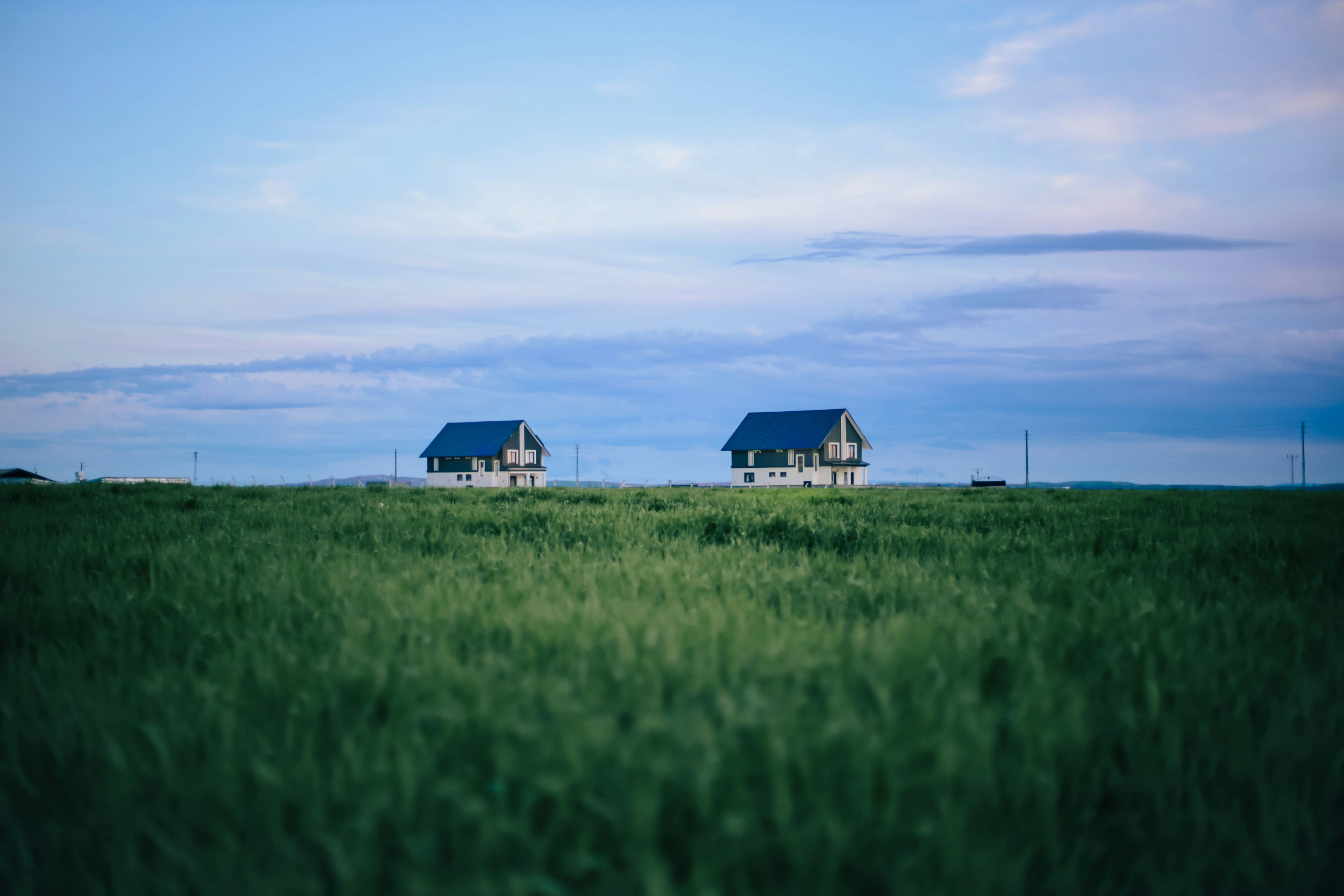 Twin Houses on a Verdant Horizon