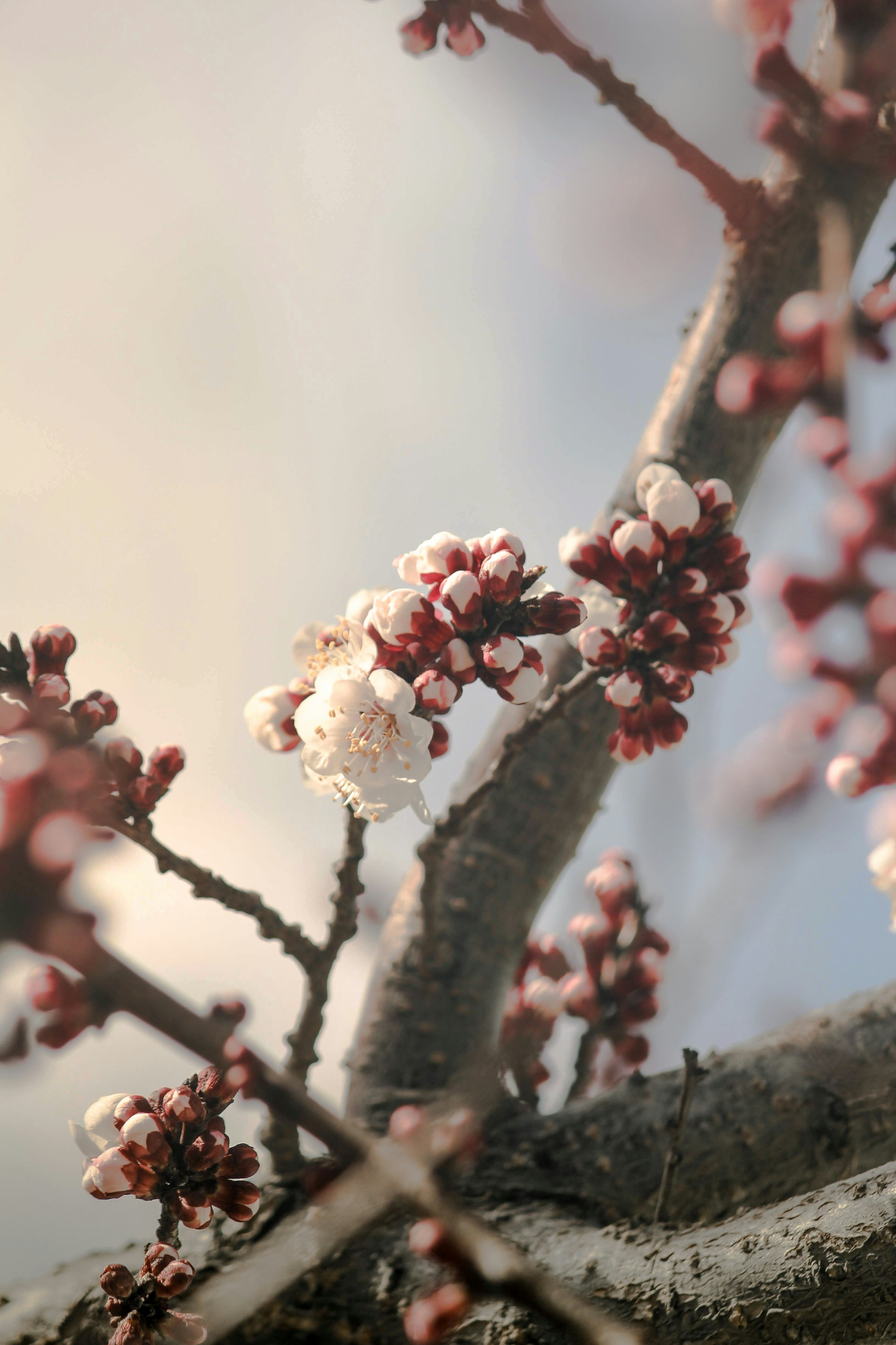 Photo by Rahmat Alizada with Canon EOS 60D