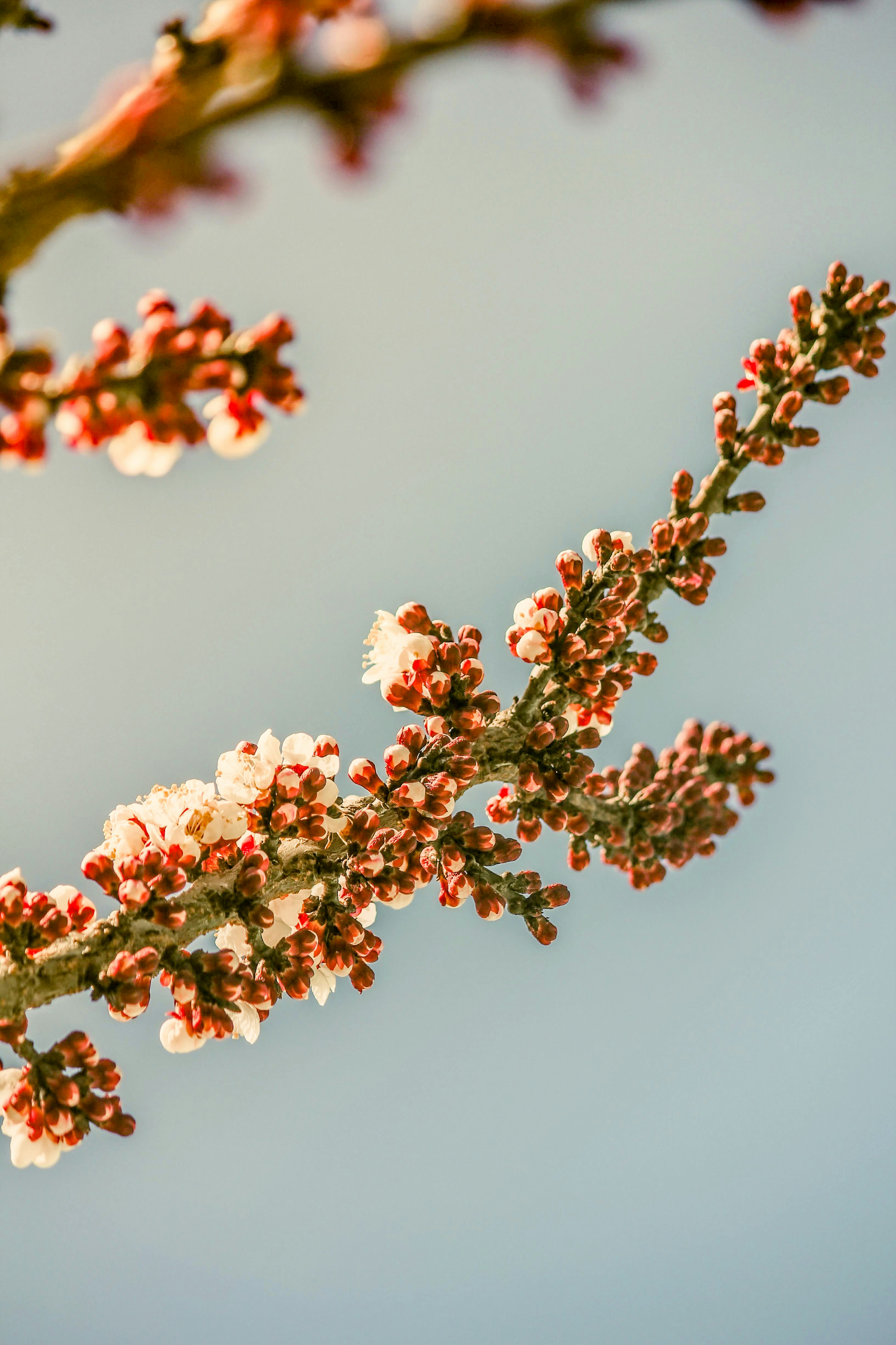 Photo by Rahmat Alizada with Canon EOS 60D