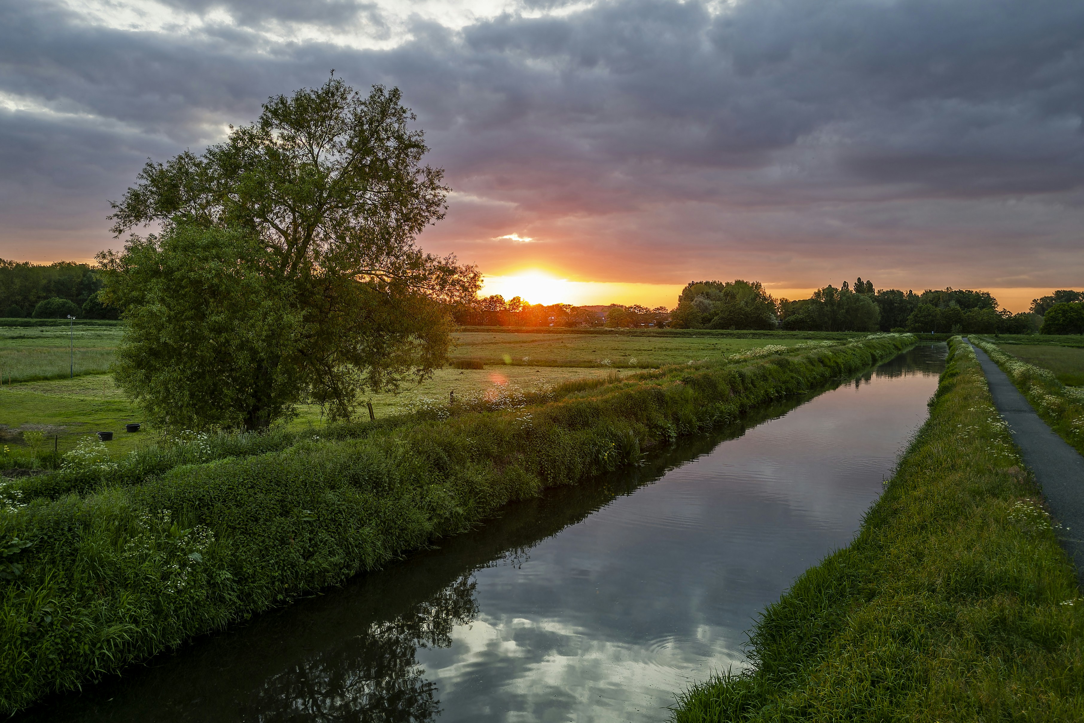 Horizon in Green: Sunset over a Quiet Canal Corridor