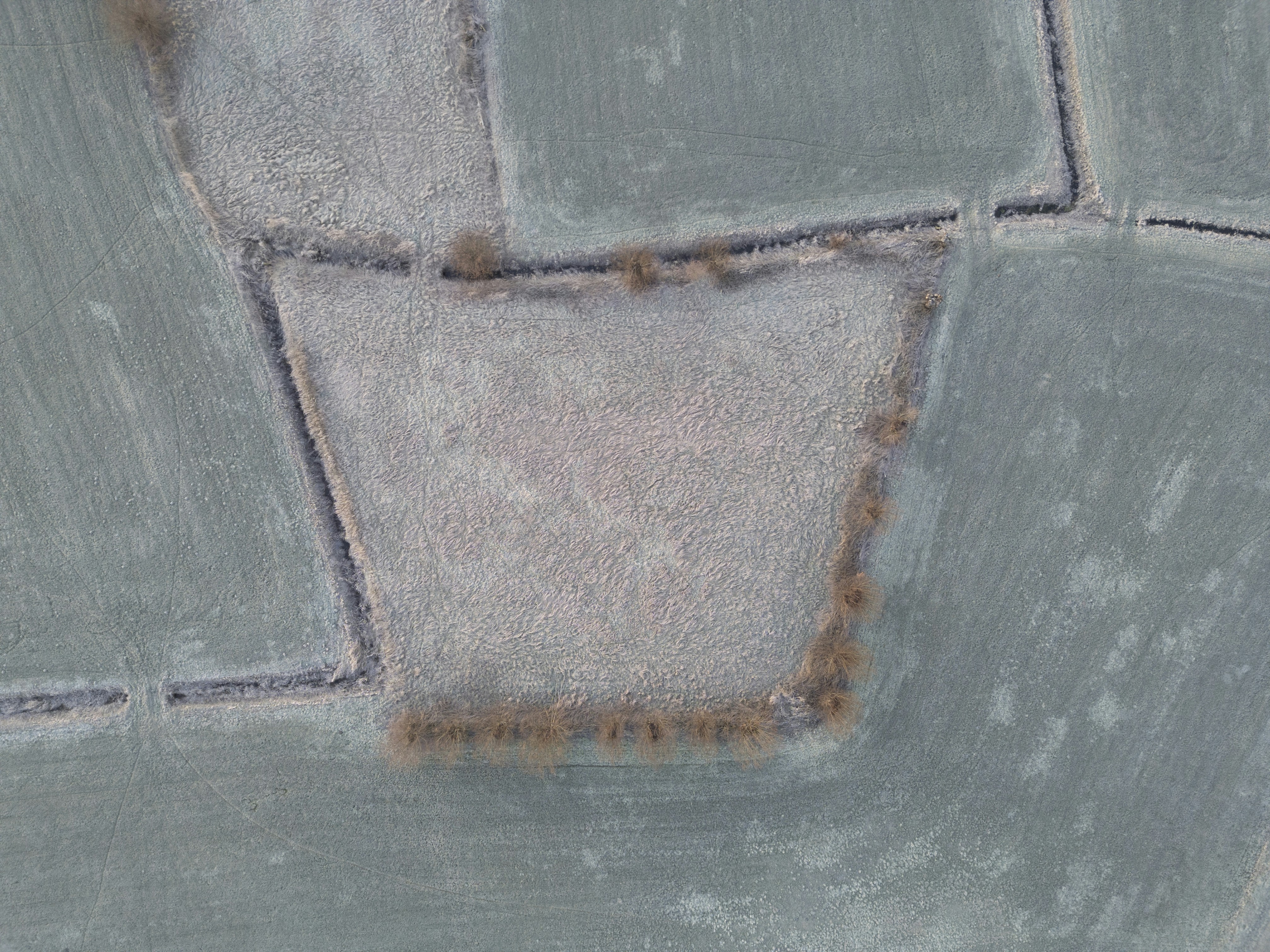 Aerial view of frosty fields with geometric patterns and brown hedgerows.