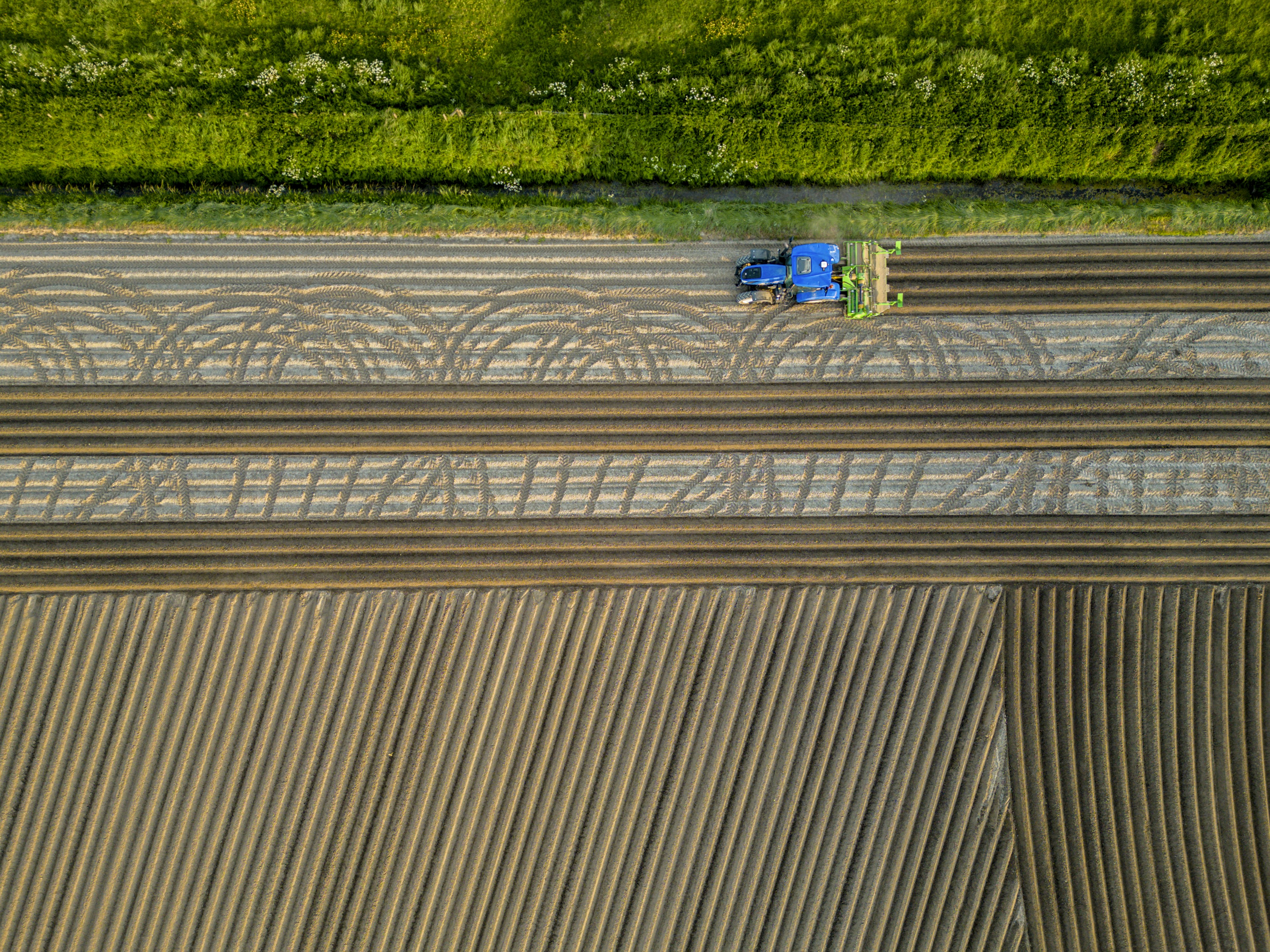 Blue Tractor Tracing Quiet Lines Across Golden Ridge Fields
