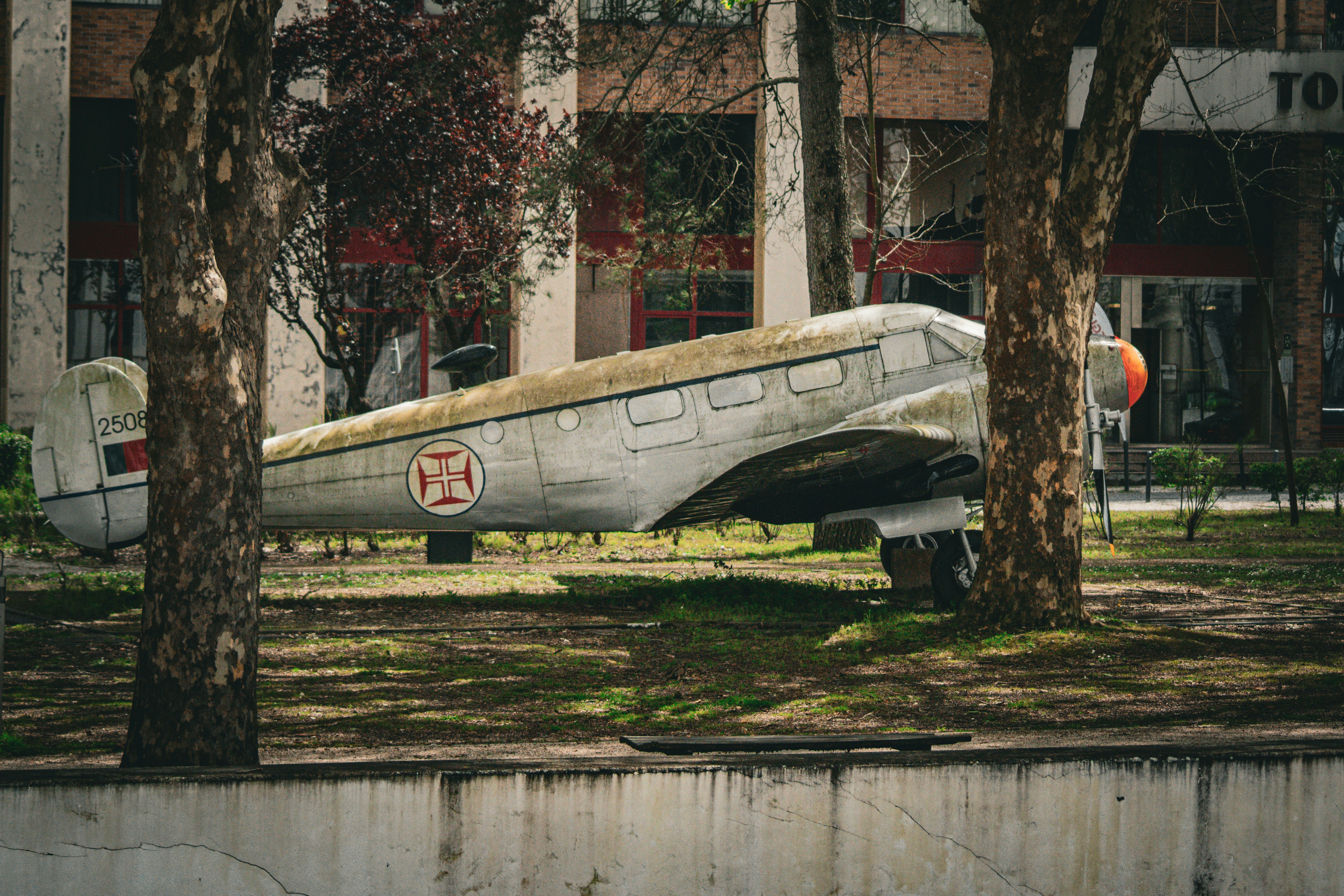 Fallen Jet Exhibit: A Parked Wind-Touched Aircraft Amid Urban Trees