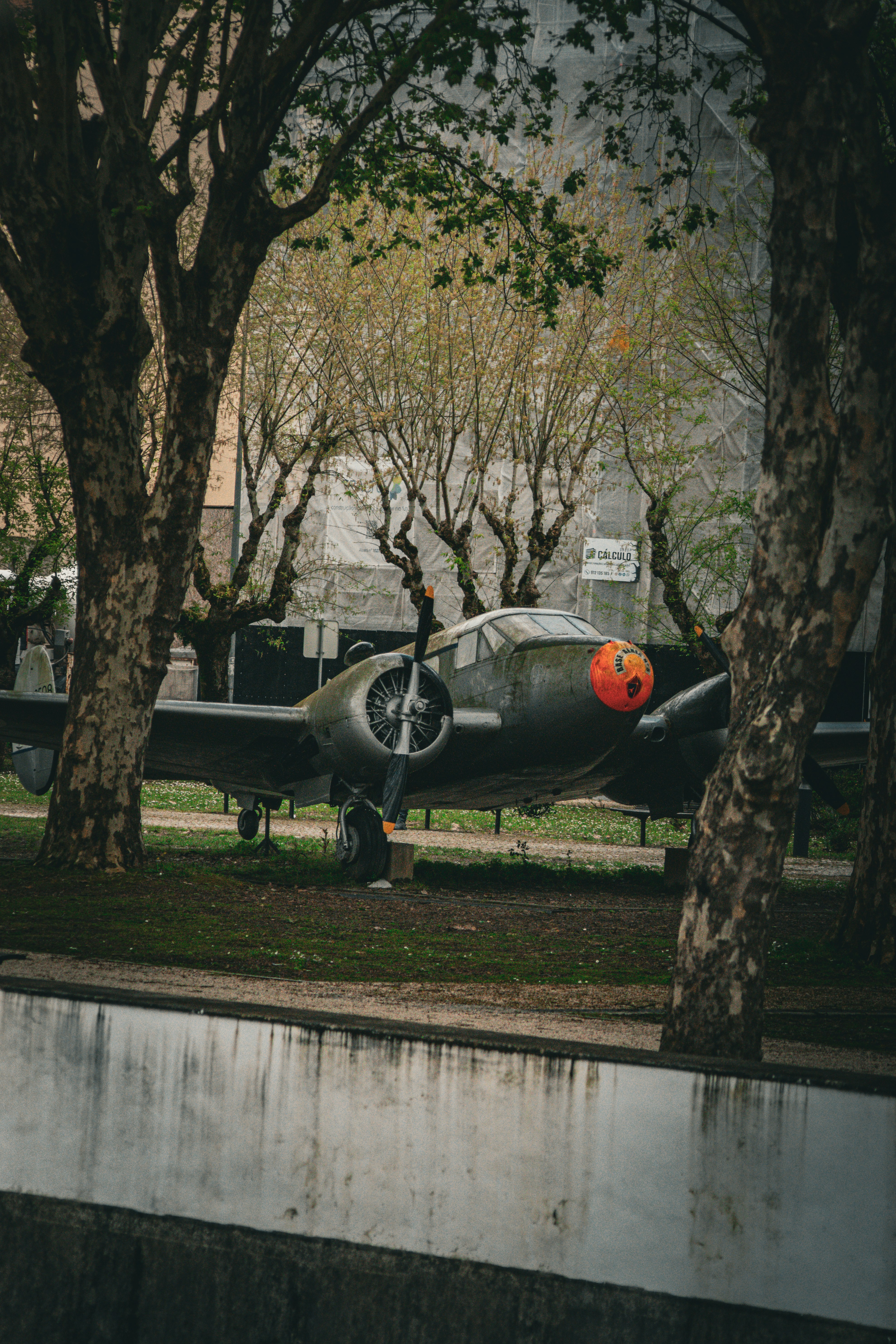 Warbird in the Park: Weathered Silver Trainer Framed by Trees