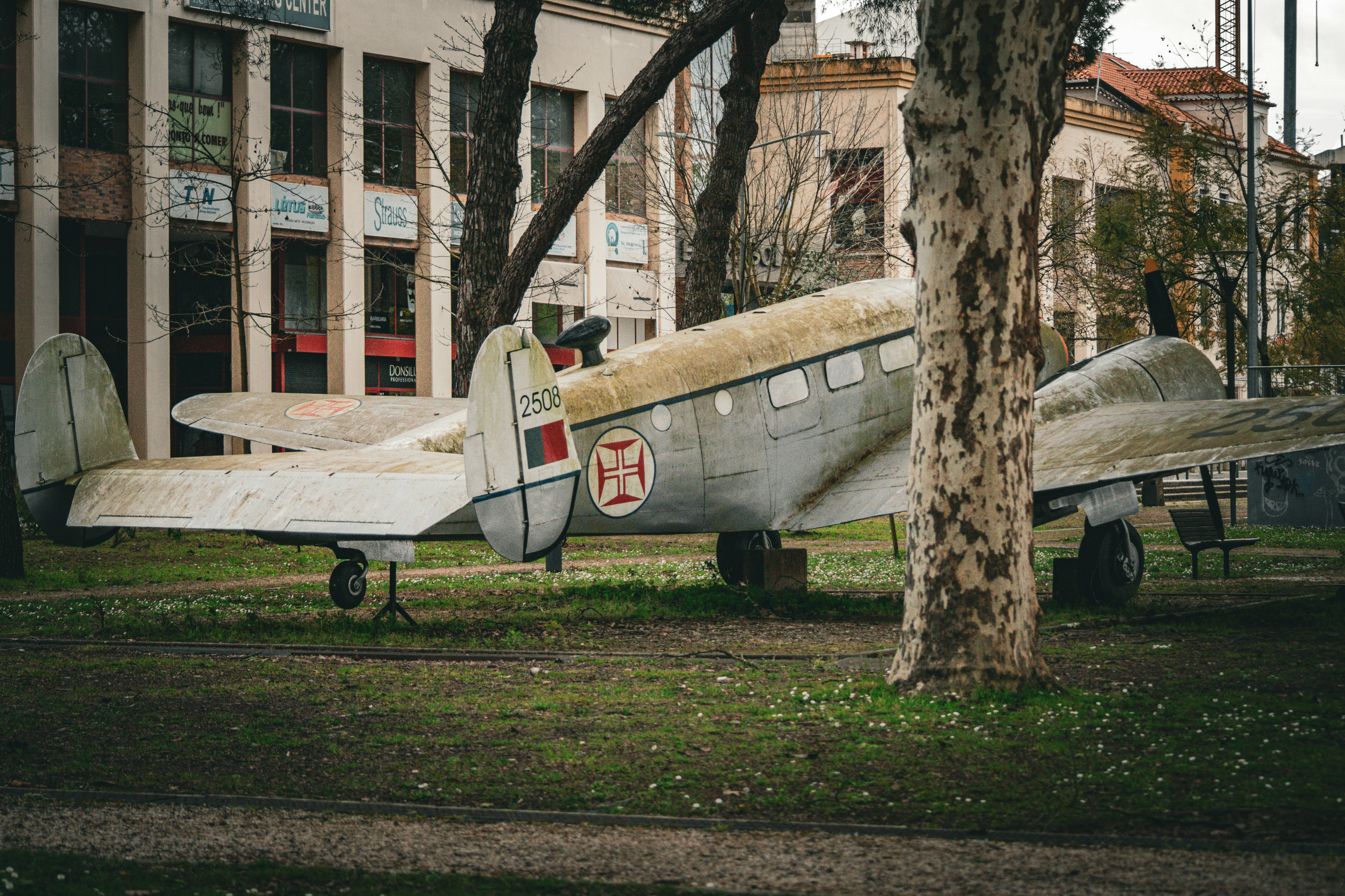 Abandoned WWII-era aircraft tucked among park trees