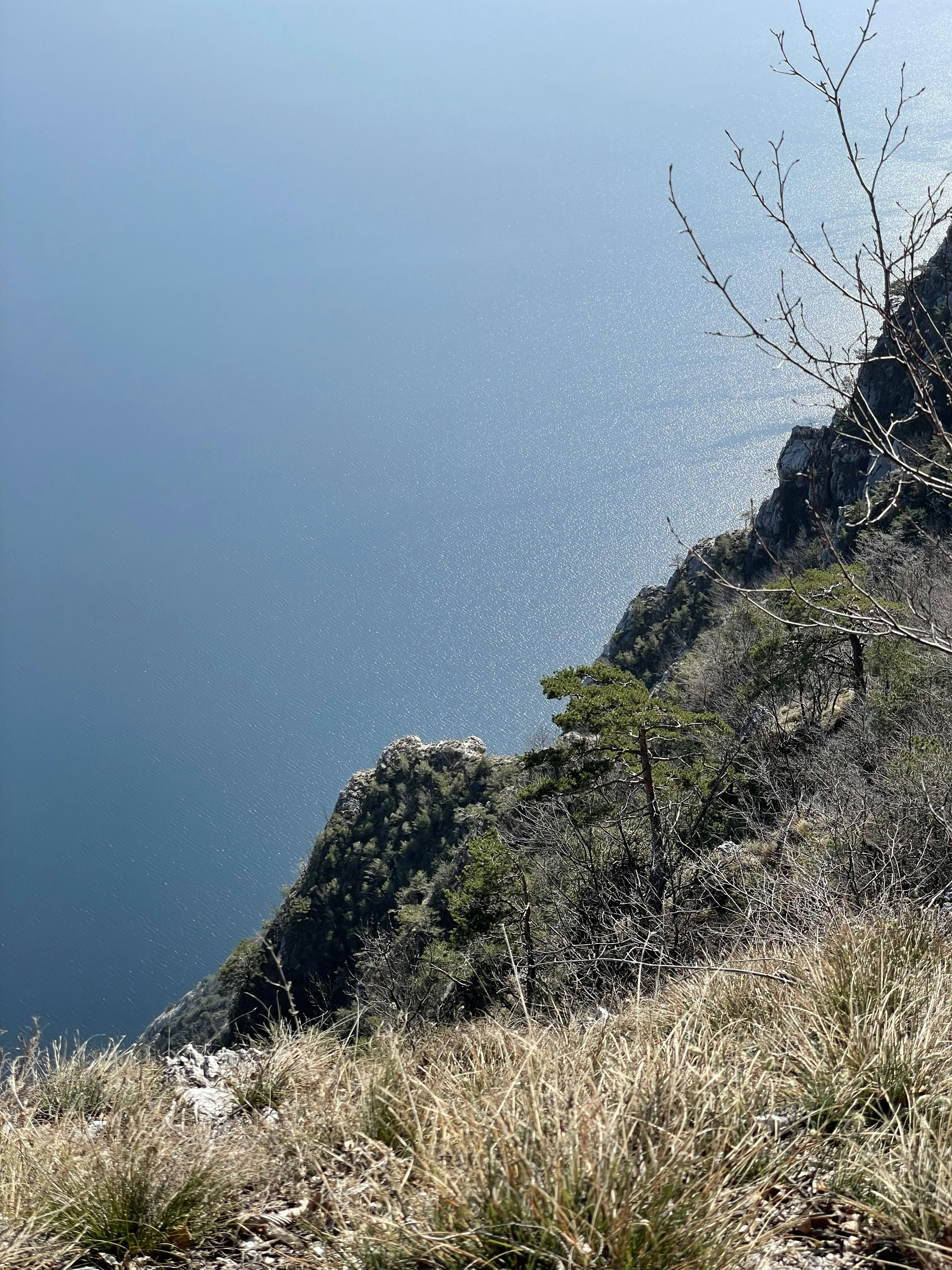 Photo by Michael Martinelli with Apple iPhone 12 Pro