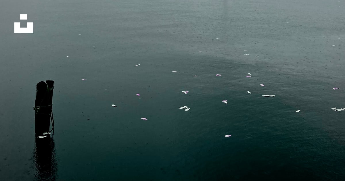 큰 물 위에 떠 있는 보트 사진 Unsplash의 무료 오르타 산 줄리오 이미지