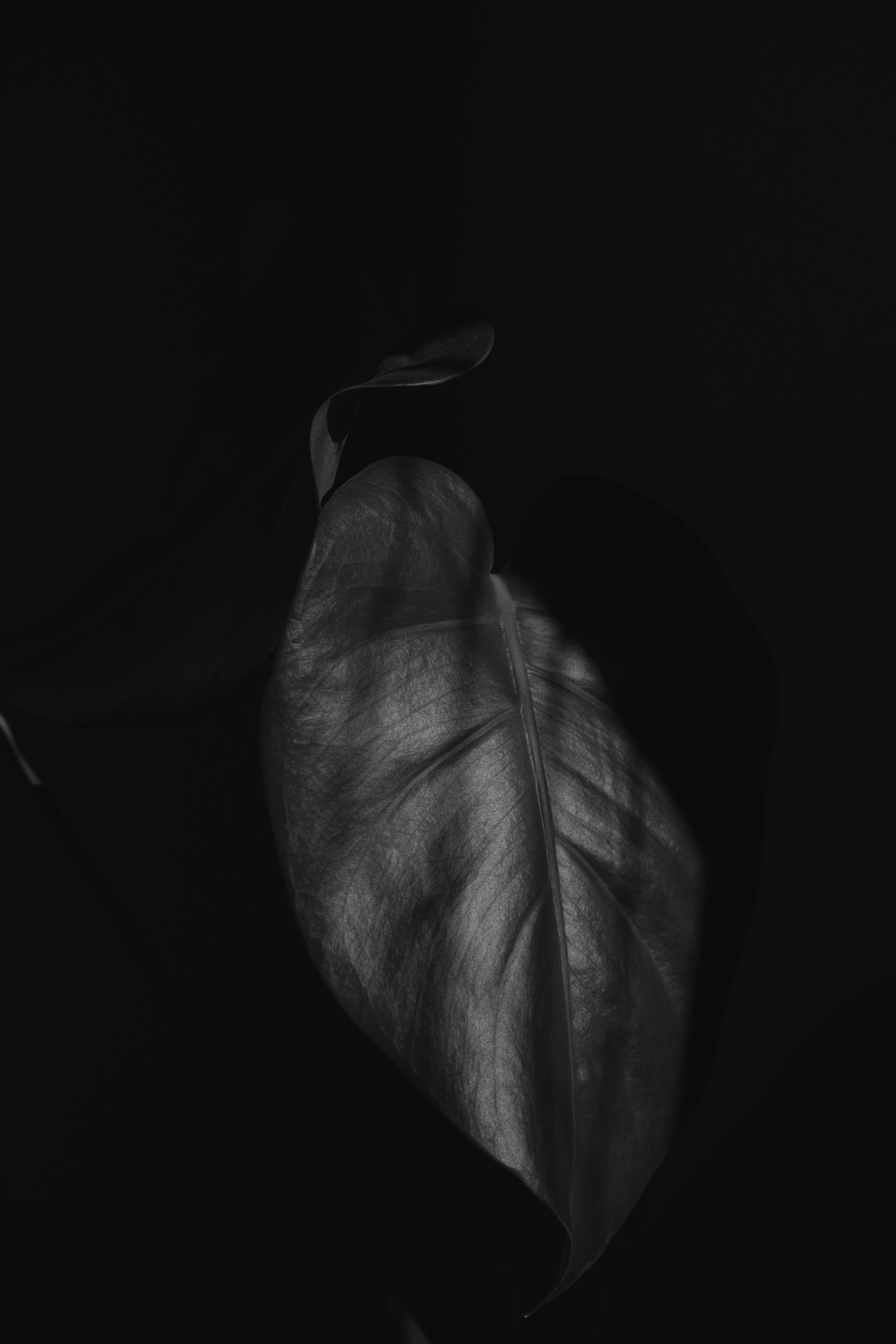 Photo by Brandon Stoll with Canon EOS R7