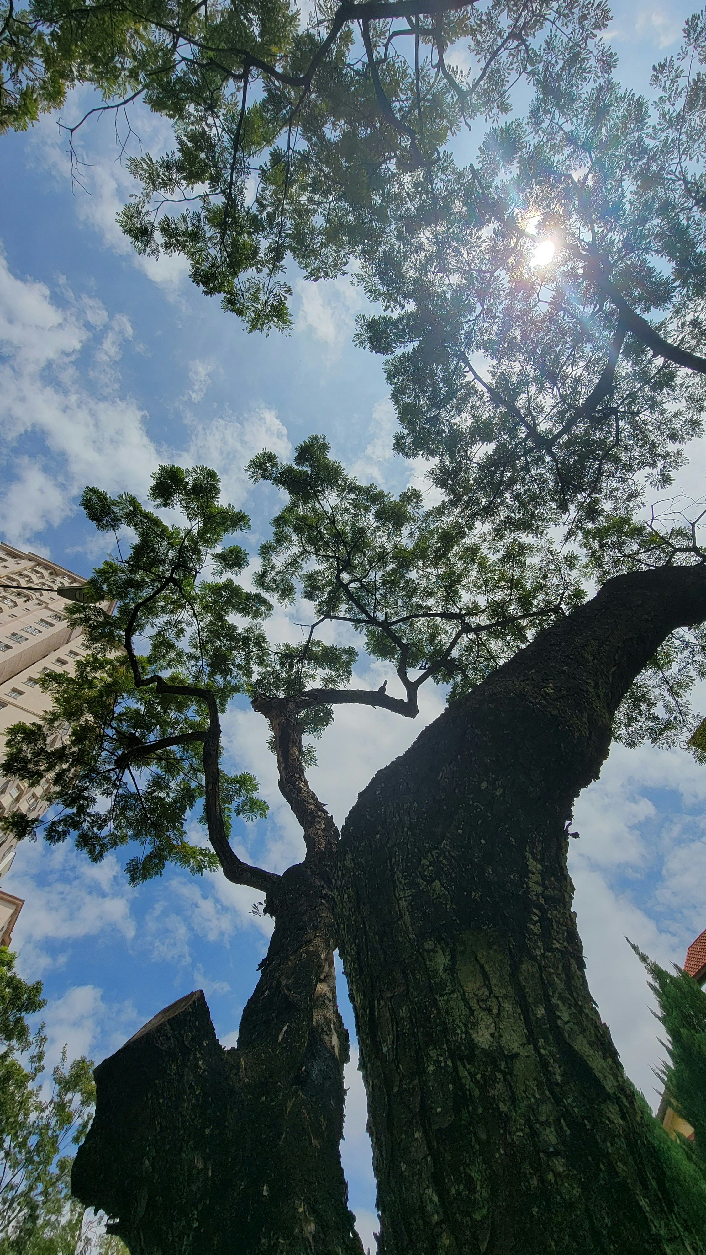 Imran Abdul Jabar (@imranabduljabar) | Komunitas Foto Unsplash