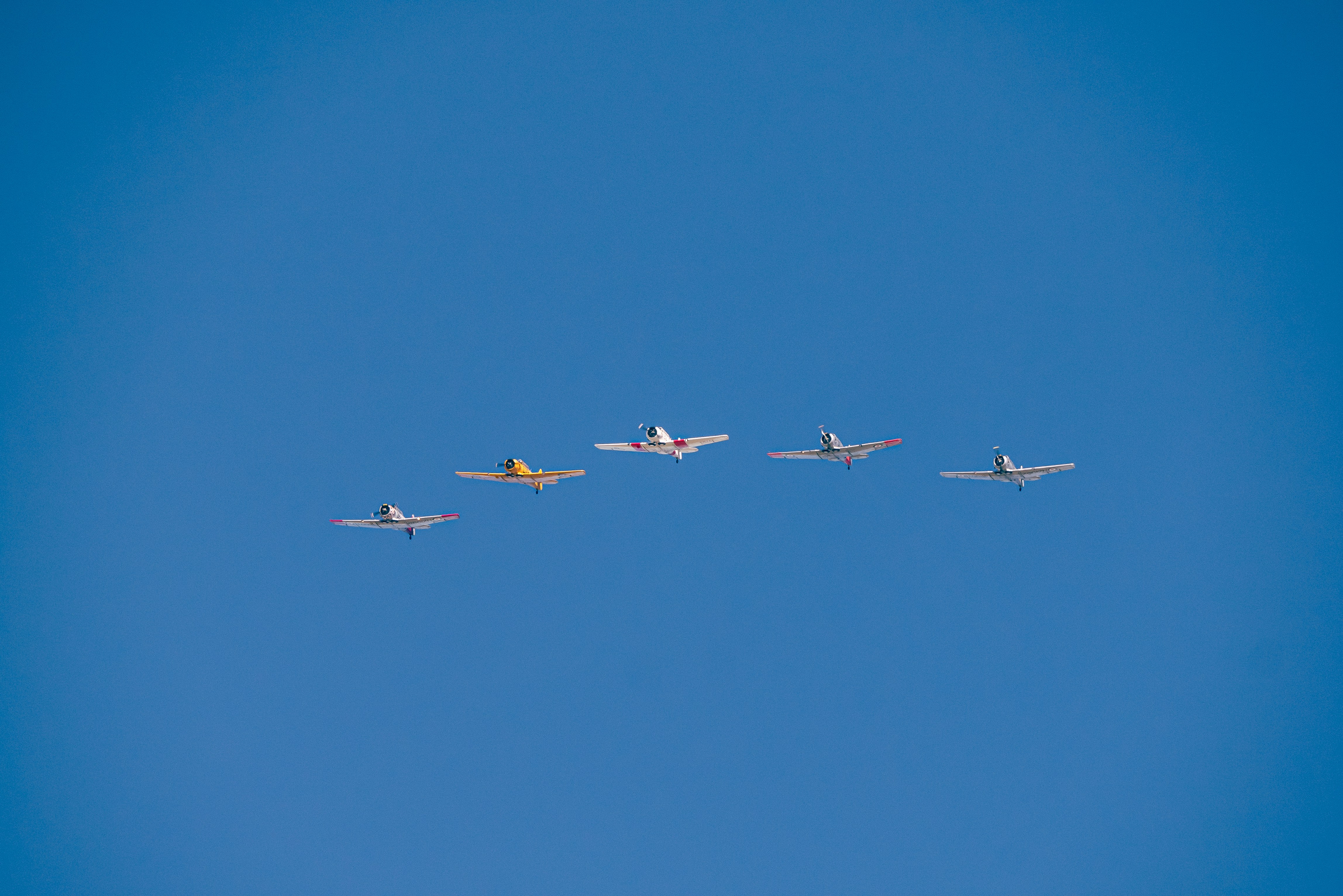 A group of airplanes flying through a blue sky photo – Free New zealand ...