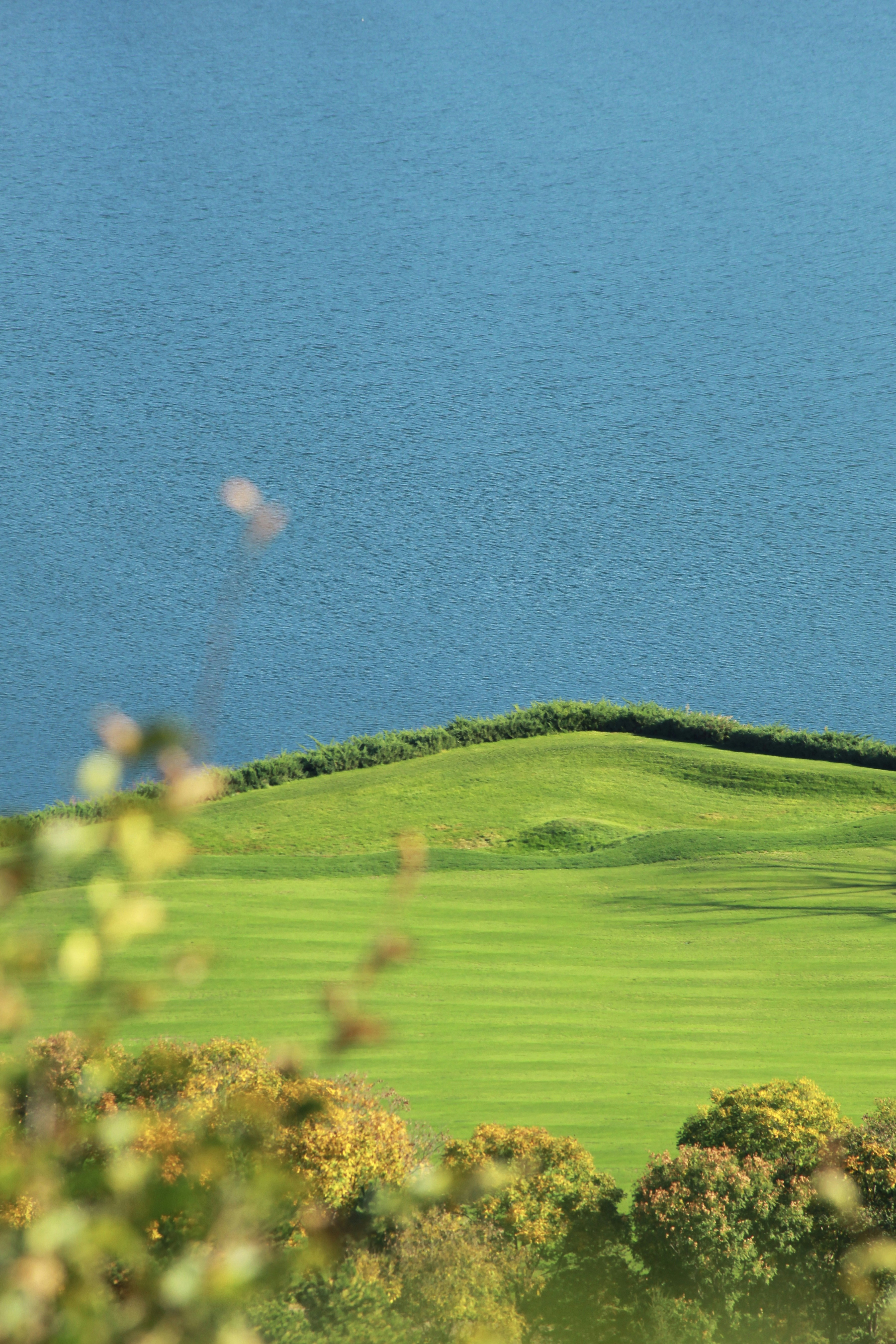 Horizon Curve: A Sunlit Green Ridge Beneath a Textured Blue Sky