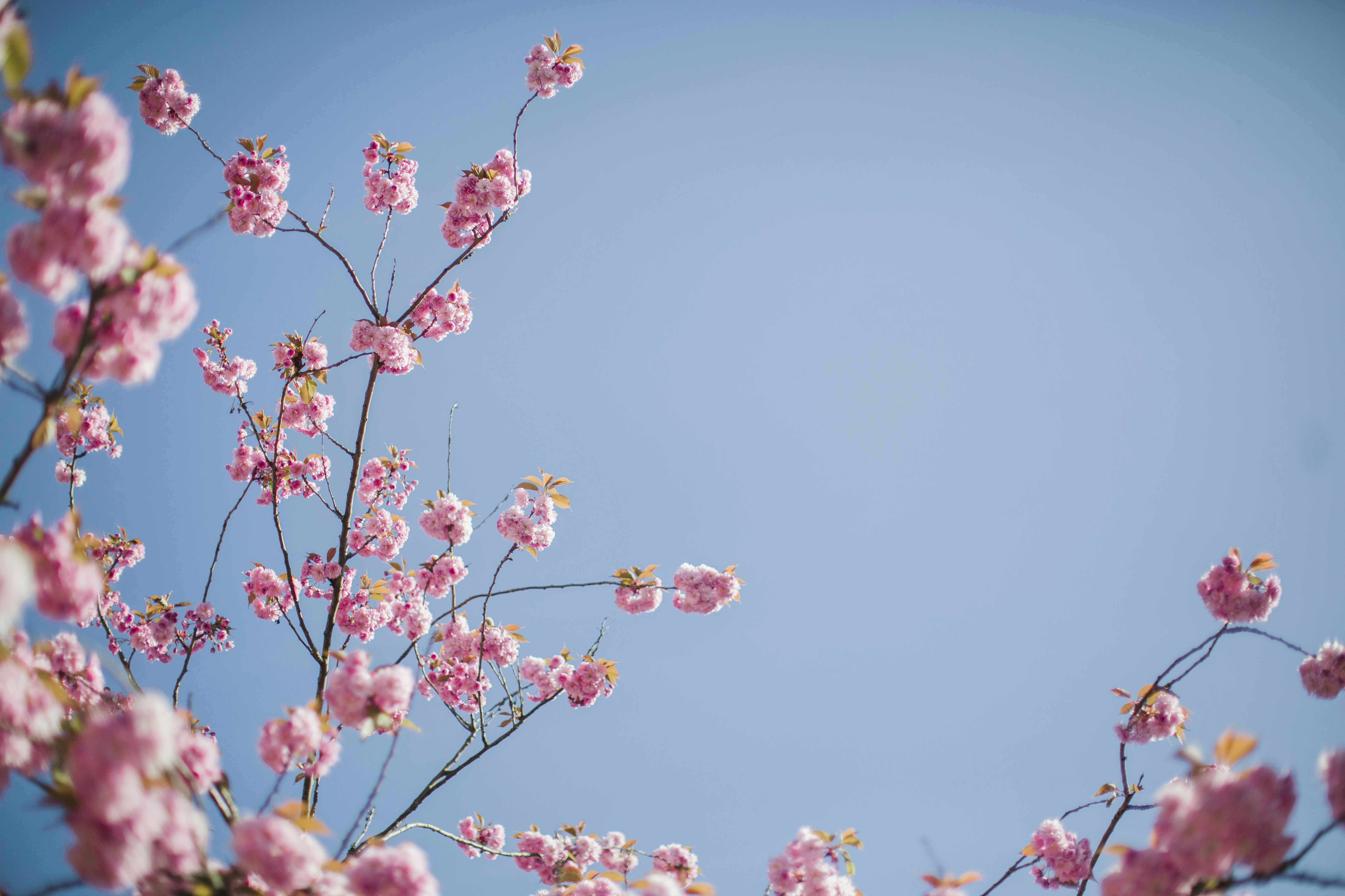 Photo by Caroline Ross with Canon EOS 5D Mark III