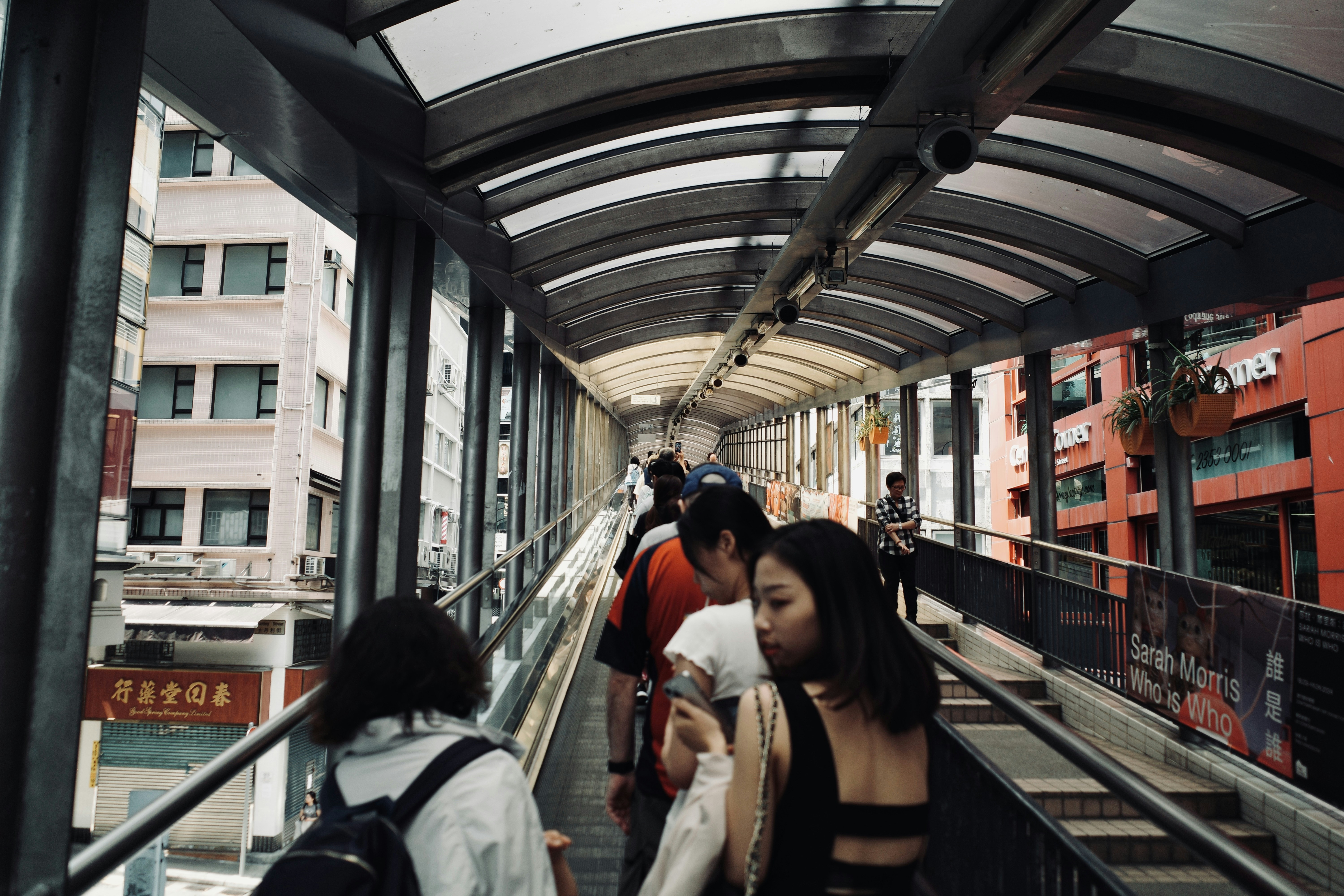 A group of people walking down a walkway photo – Free Human Image on ...