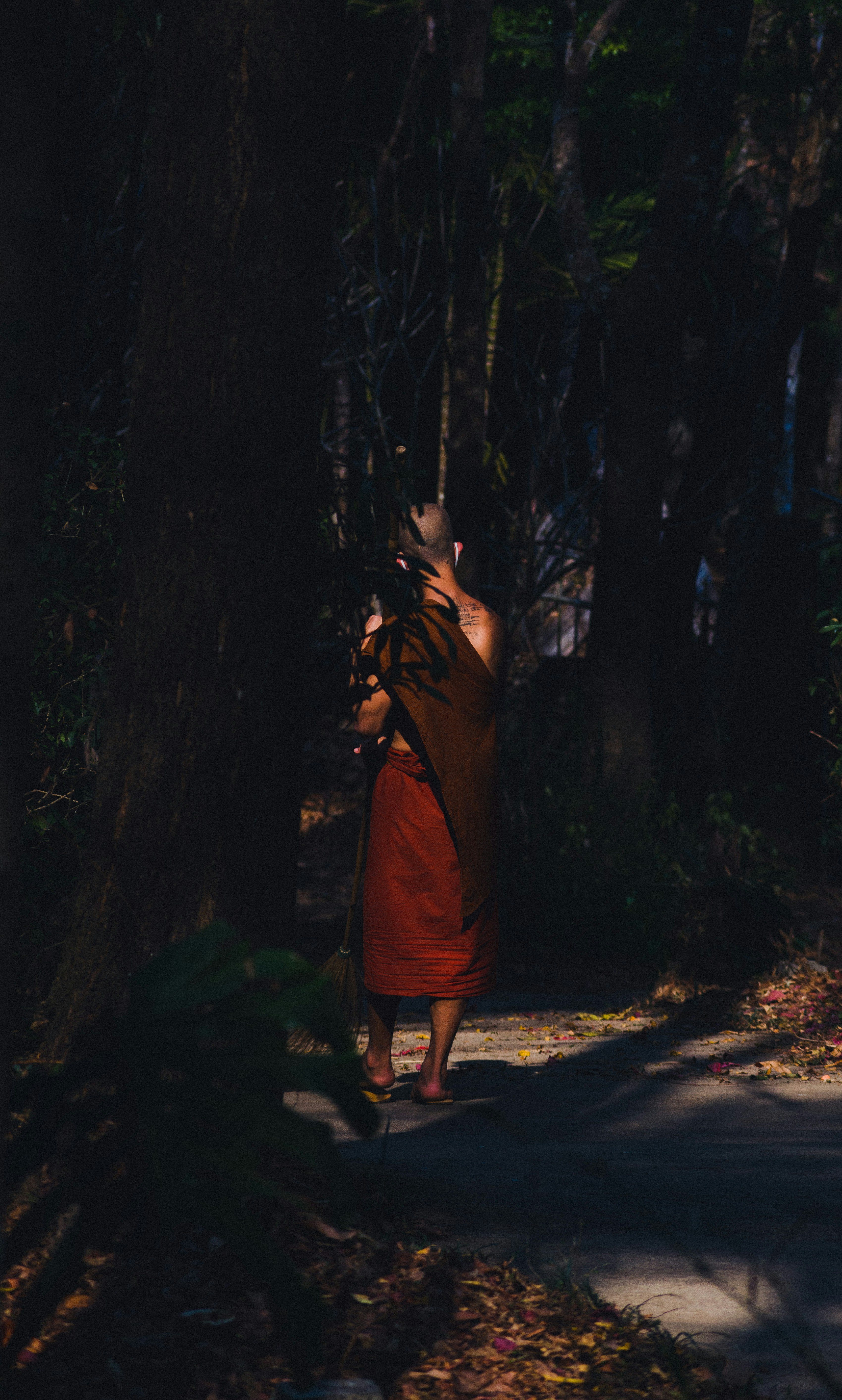 Amber Robe in a Forest Corridor