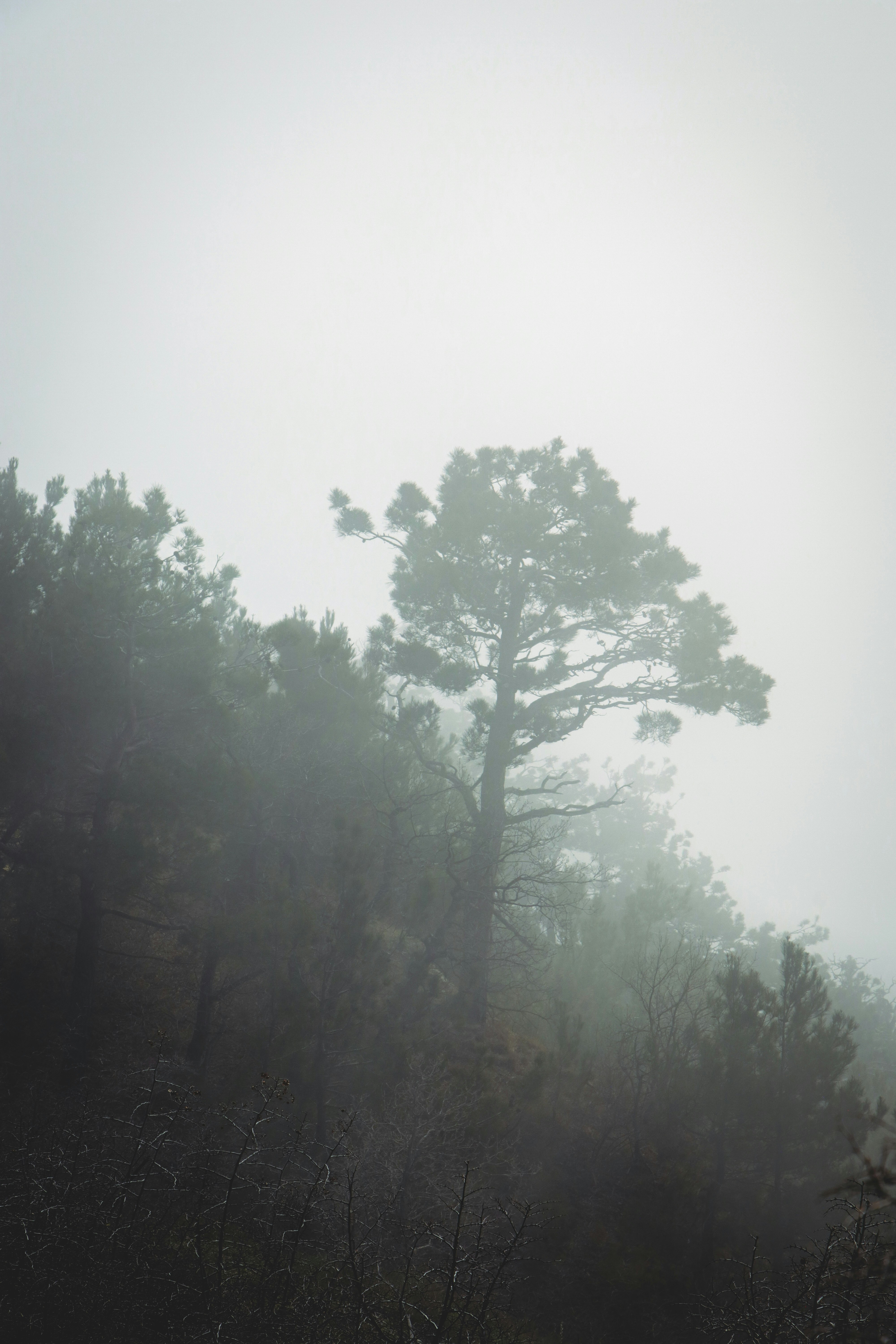 Photo by Khristina Sergeychik with Canon EOS 80D