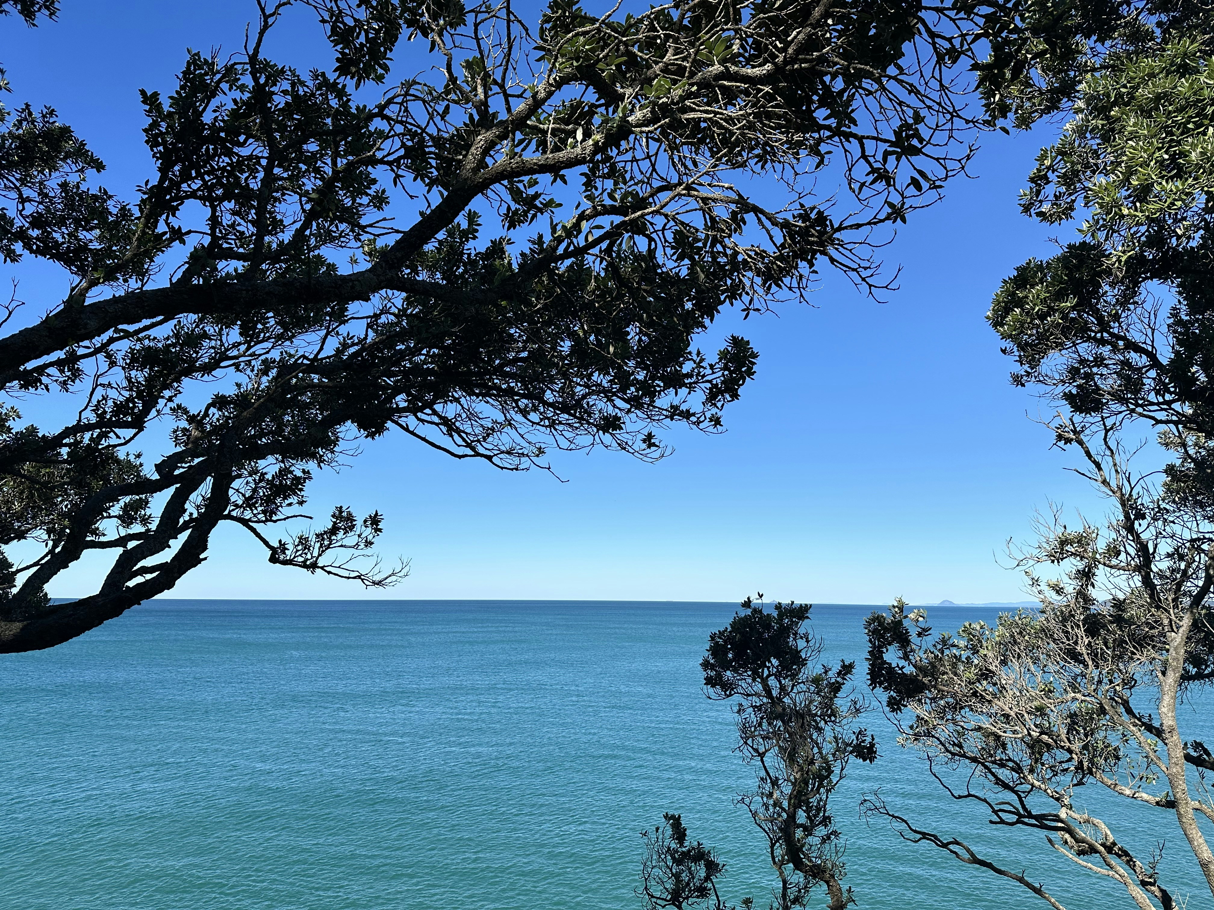 Kyle Wang (@kyle6) | Unsplash Photo Community