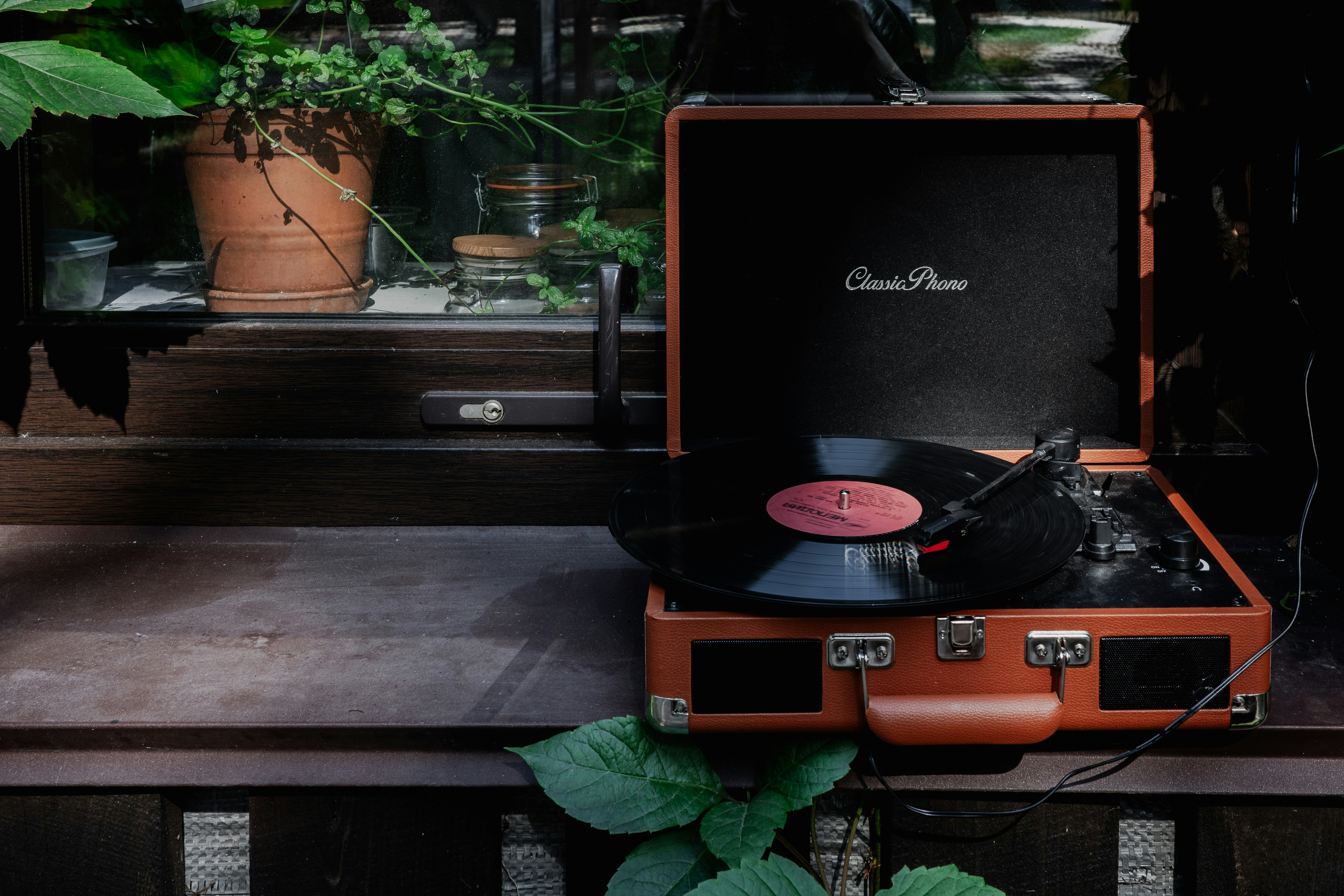 Vinyl Echoes: A Portable Record Player Resting Among Greenery