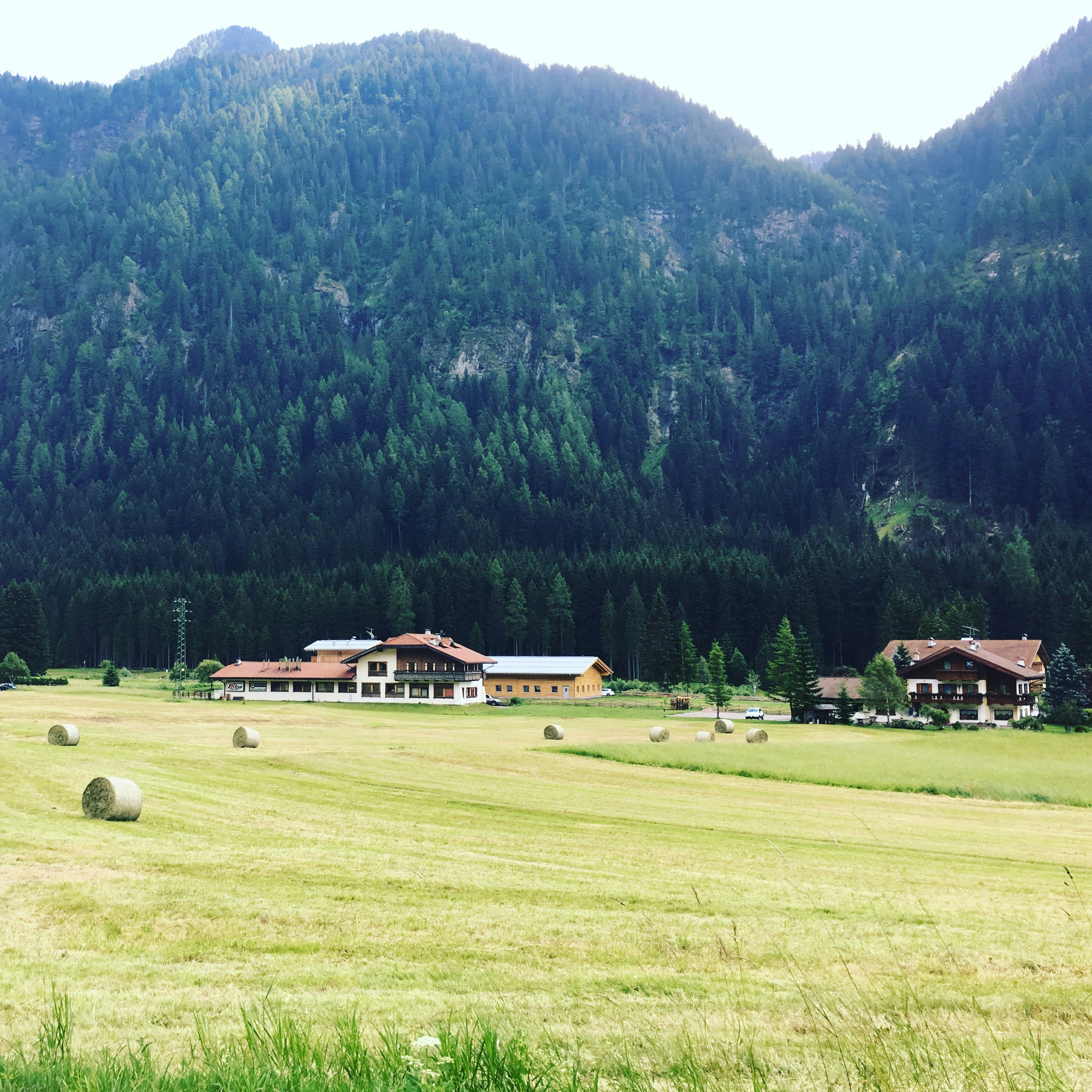 A large field with bales of hay in the foreground photo – Free Trentino ...
