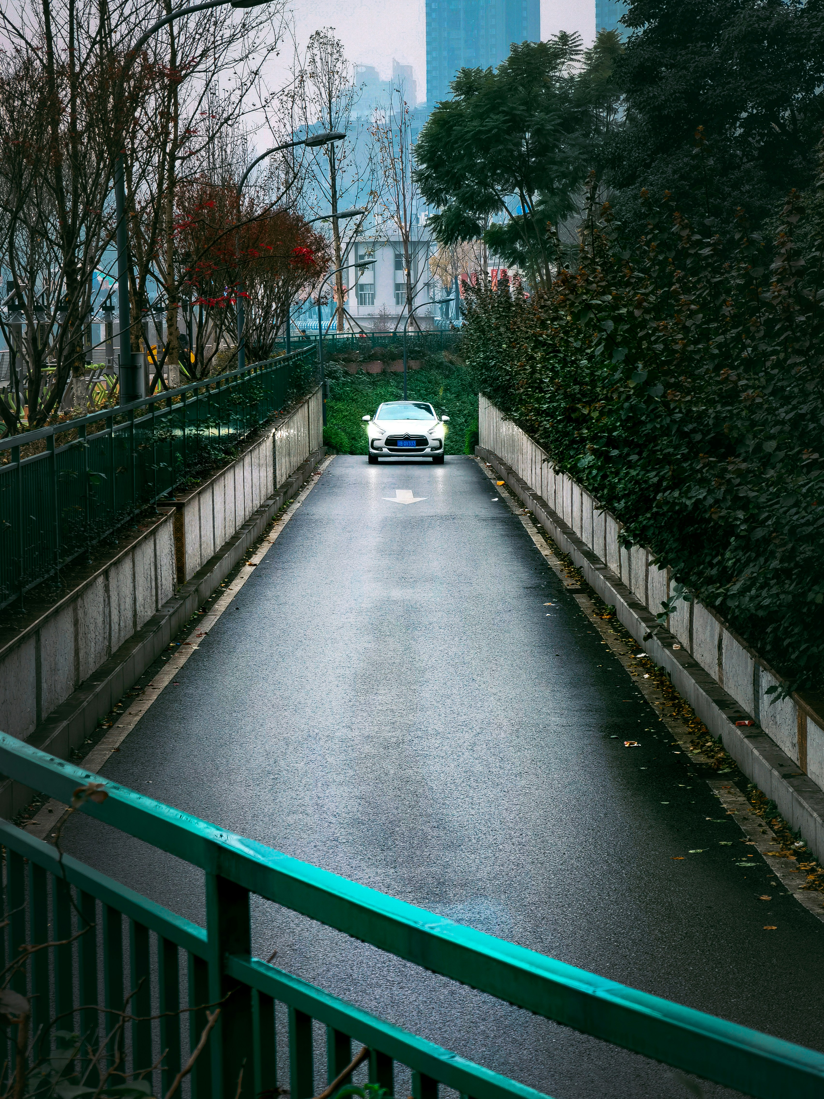 Photograph of a rain-slick urban alley converging on a white sedan at the far end, flanked by hedges and metal railings.