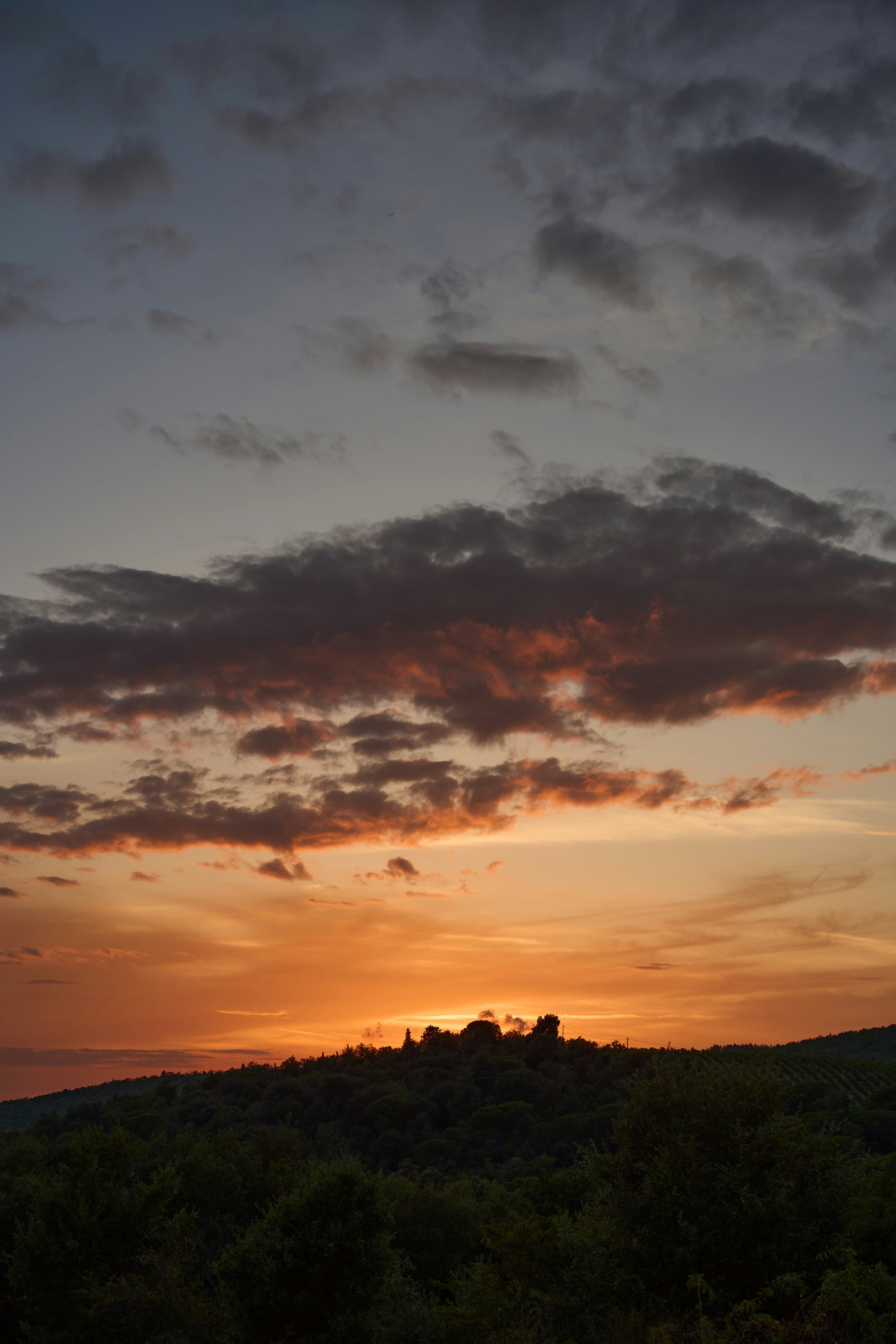 The sun is setting over a hill with trees photo – Free Grey Image on ...