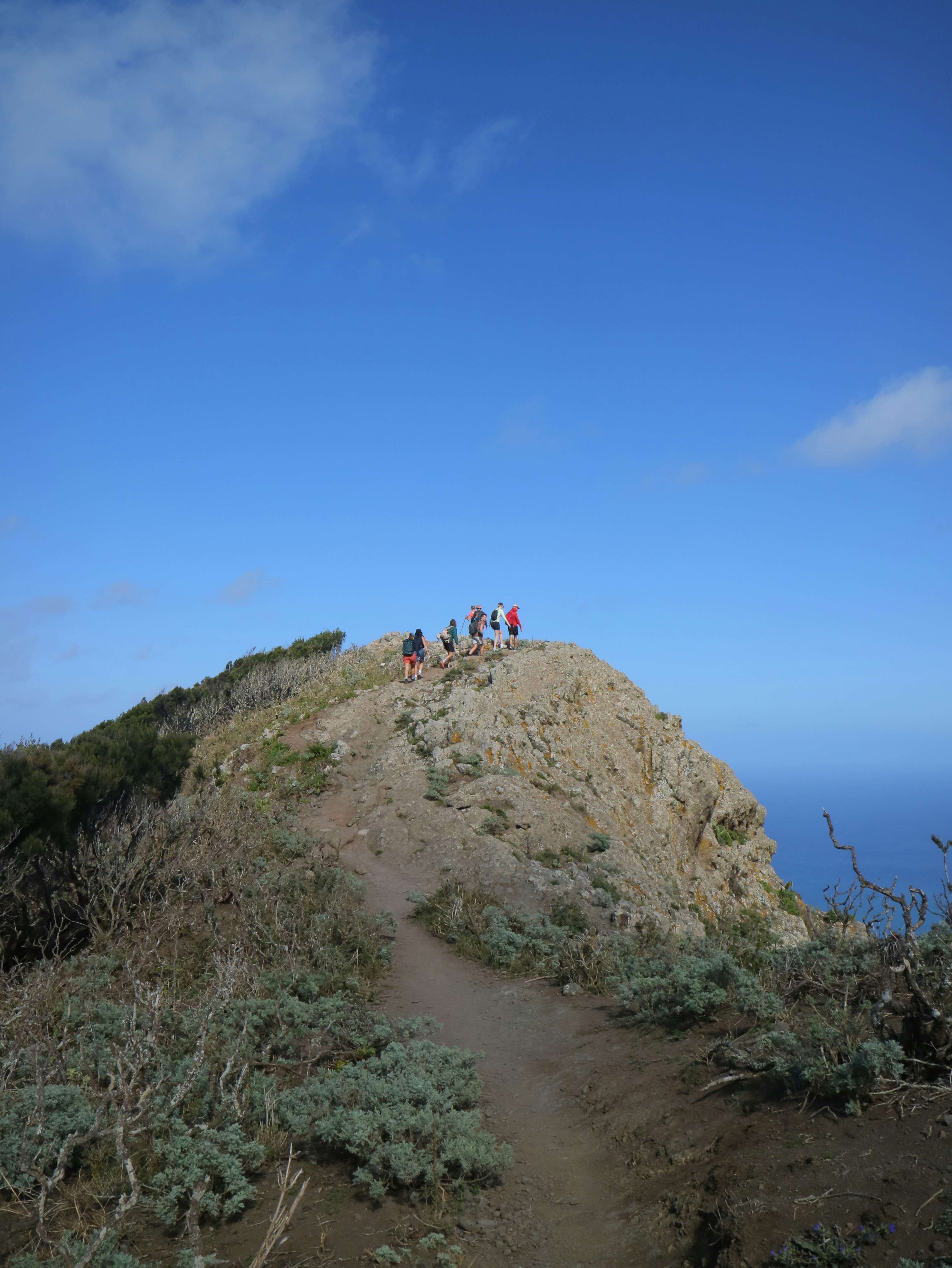 Aleksandra (@lksndrmk) | Unsplashフォトコミュニティ