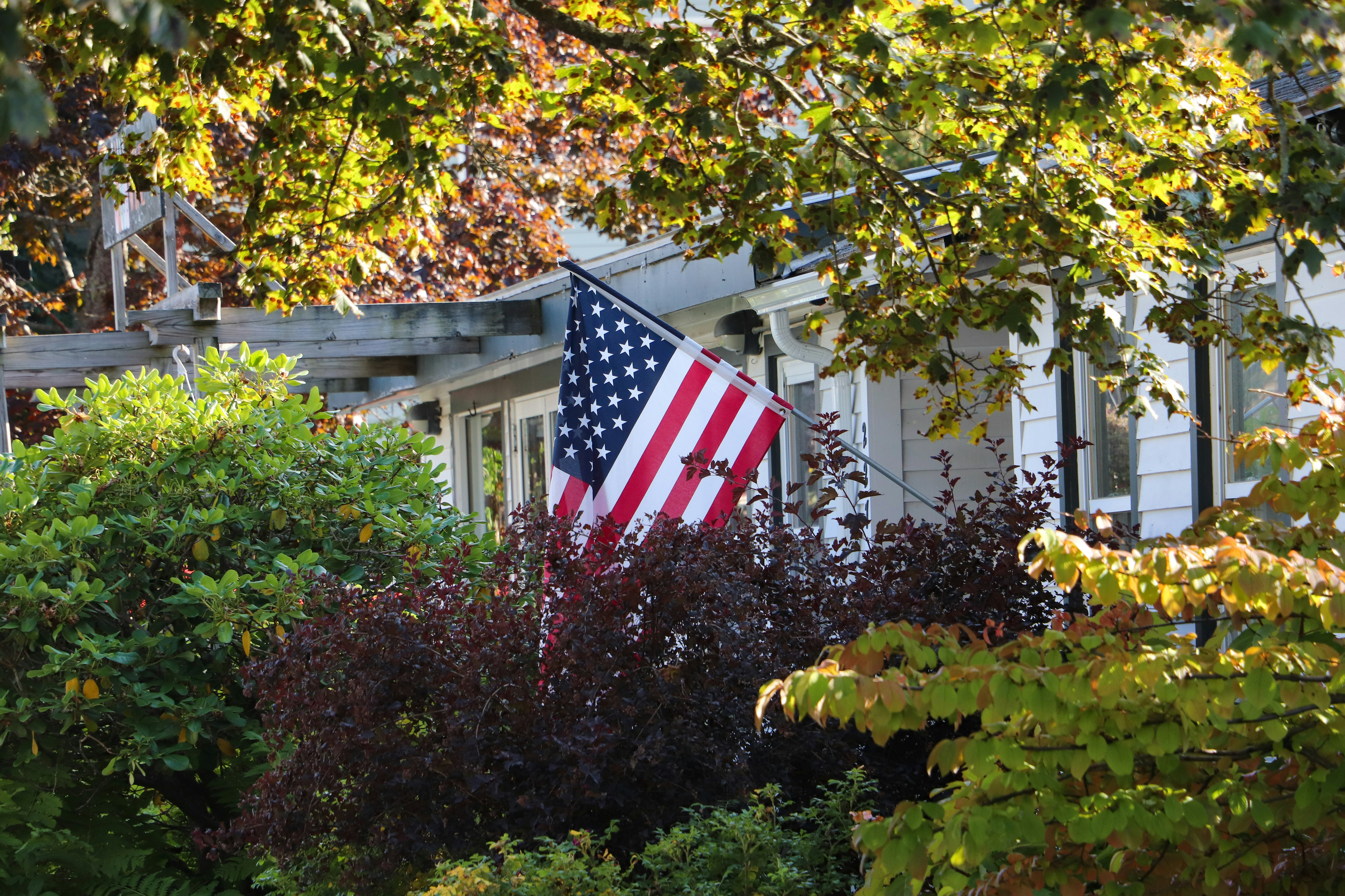 Flag against Autumn Velvet: A Suburban Garden's Quiet Patriotic Moment