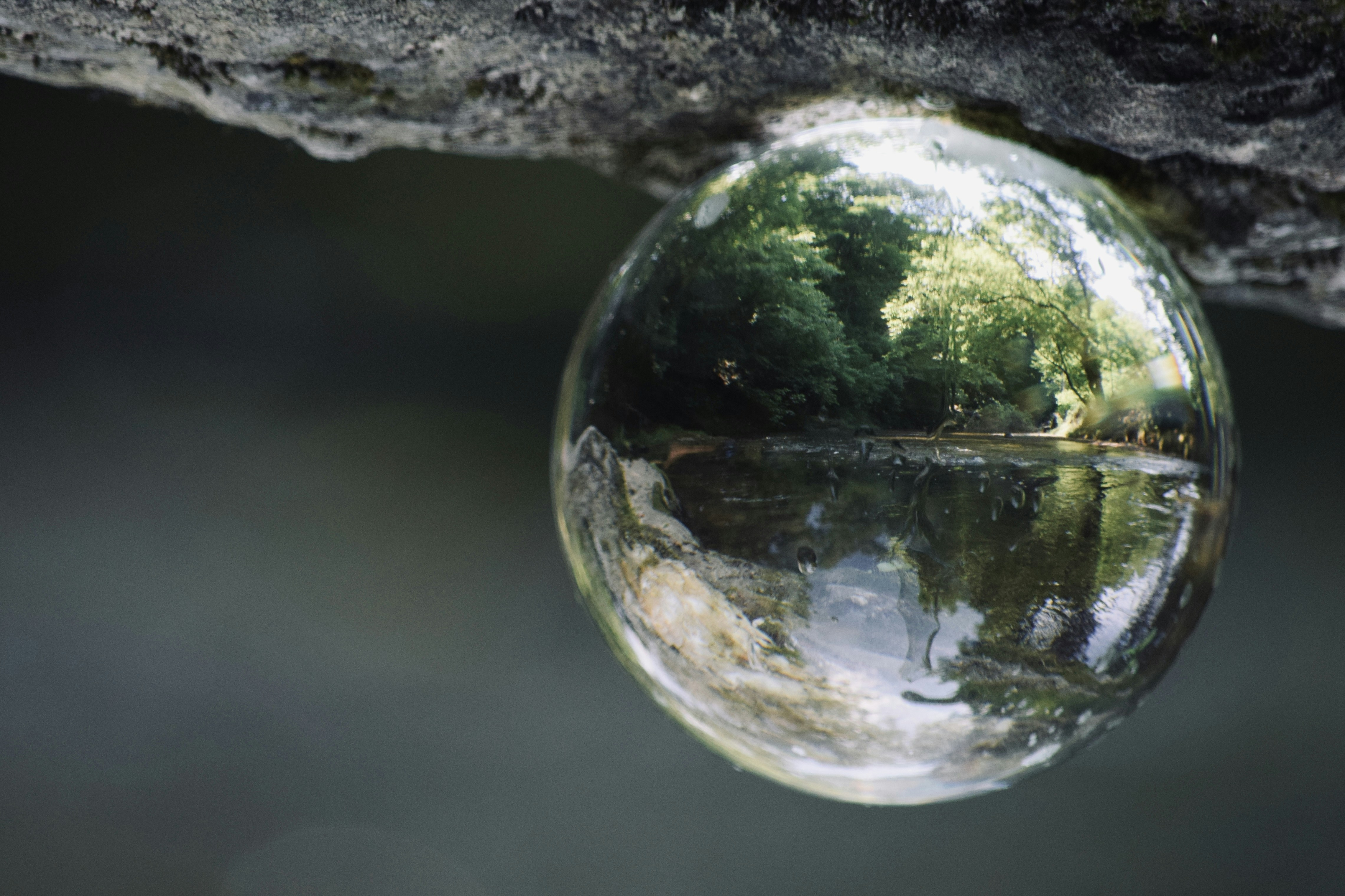 Nature's Lens: A Droplet's Reflection