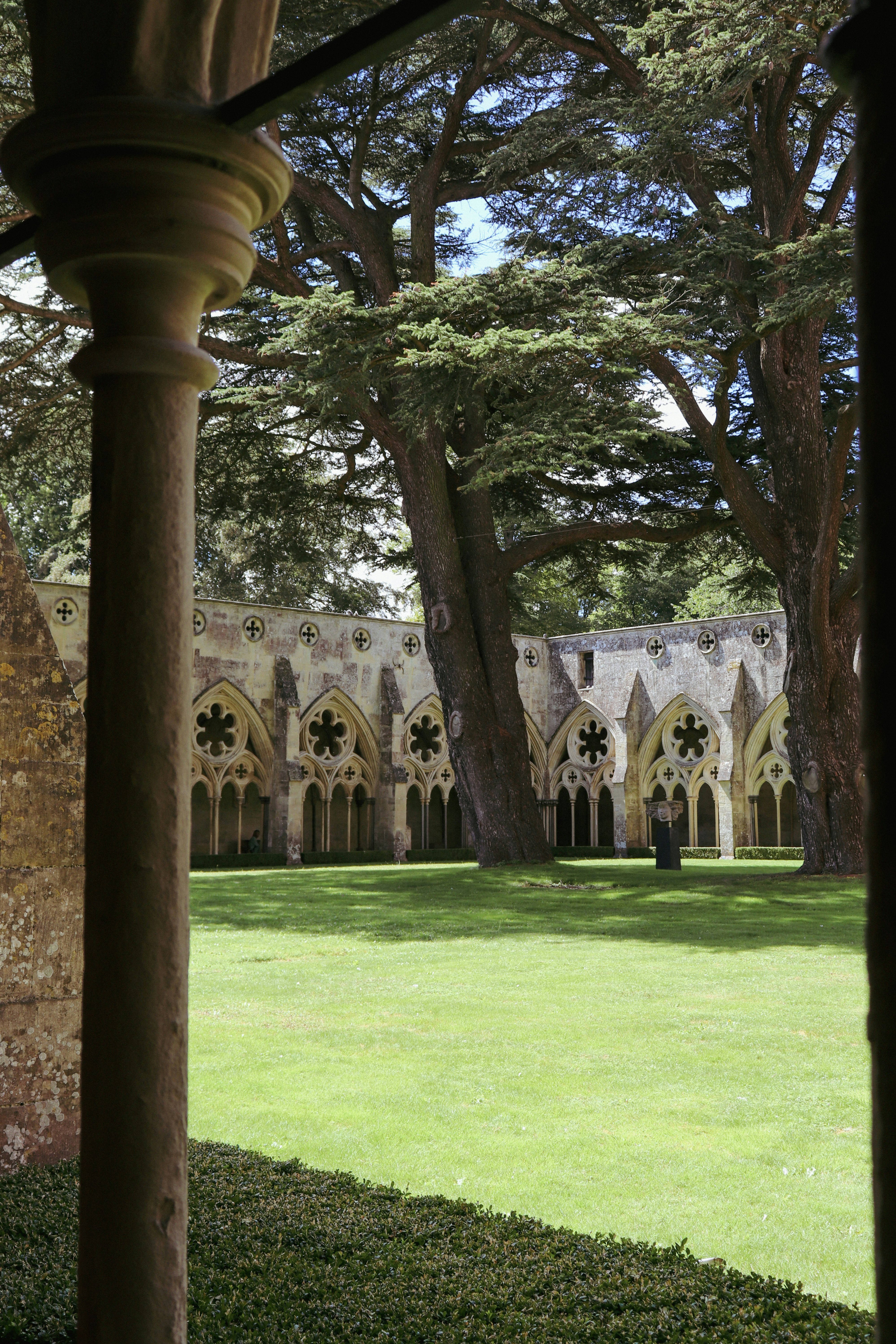 Sunlit Cloister Arches Framed by Ancient Oaks