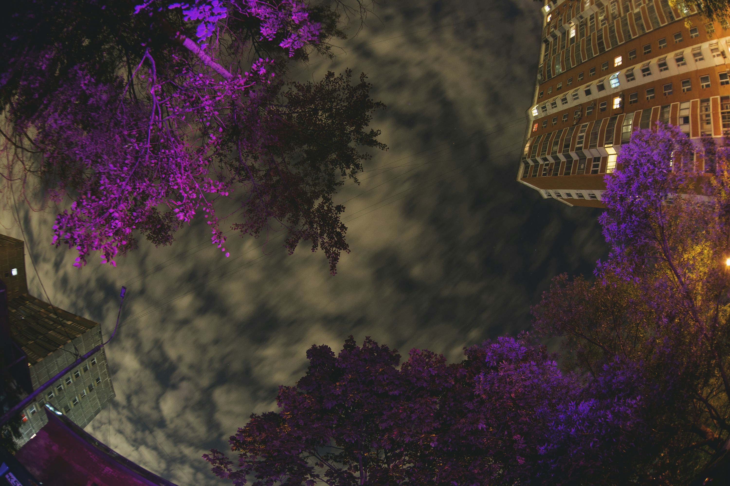 30,000+ Night Vibes Pictures | Download Free Images on Unsplash