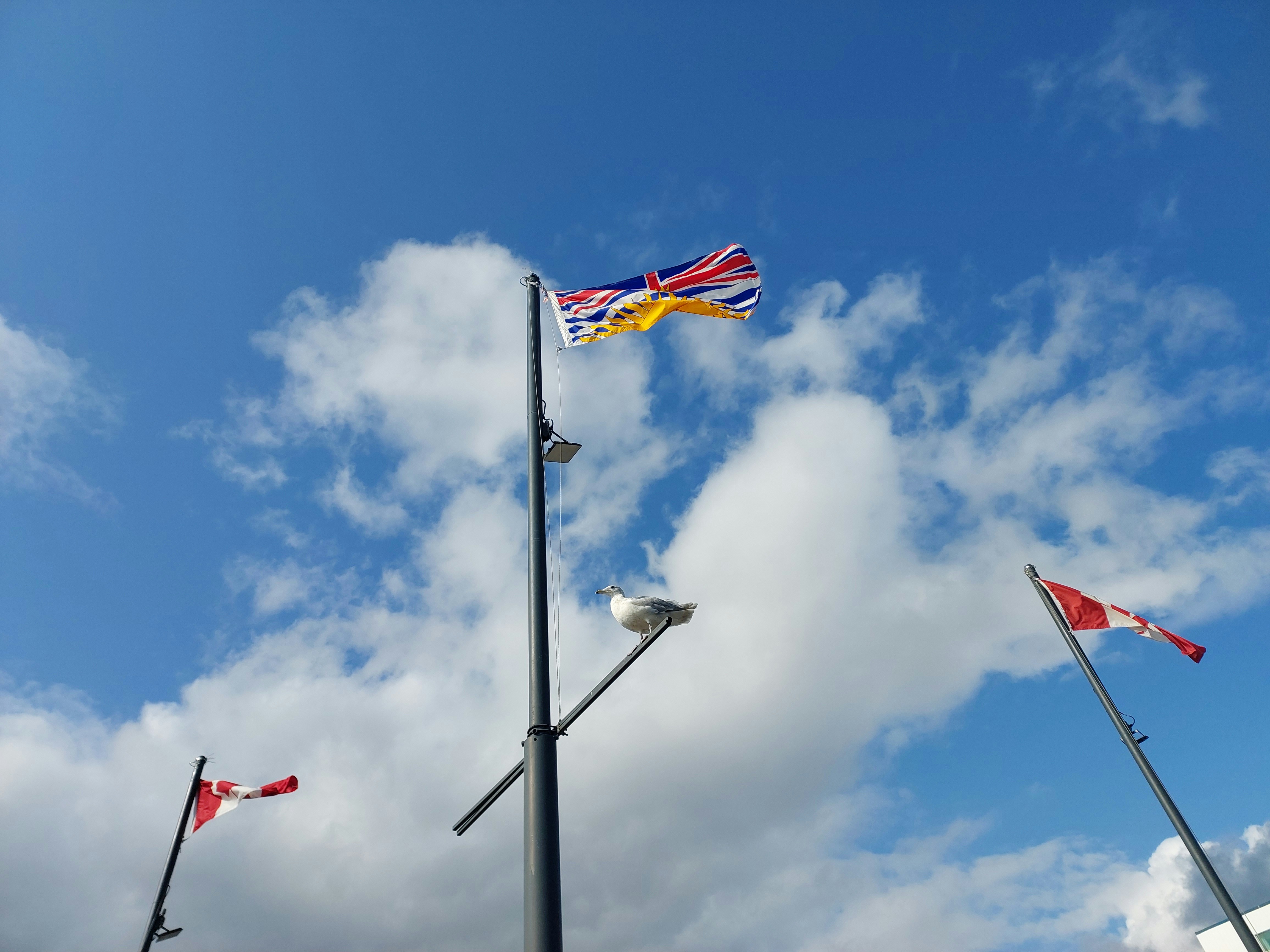 A group of flags flying in the sky photo – Free Flag Image on Unsplash