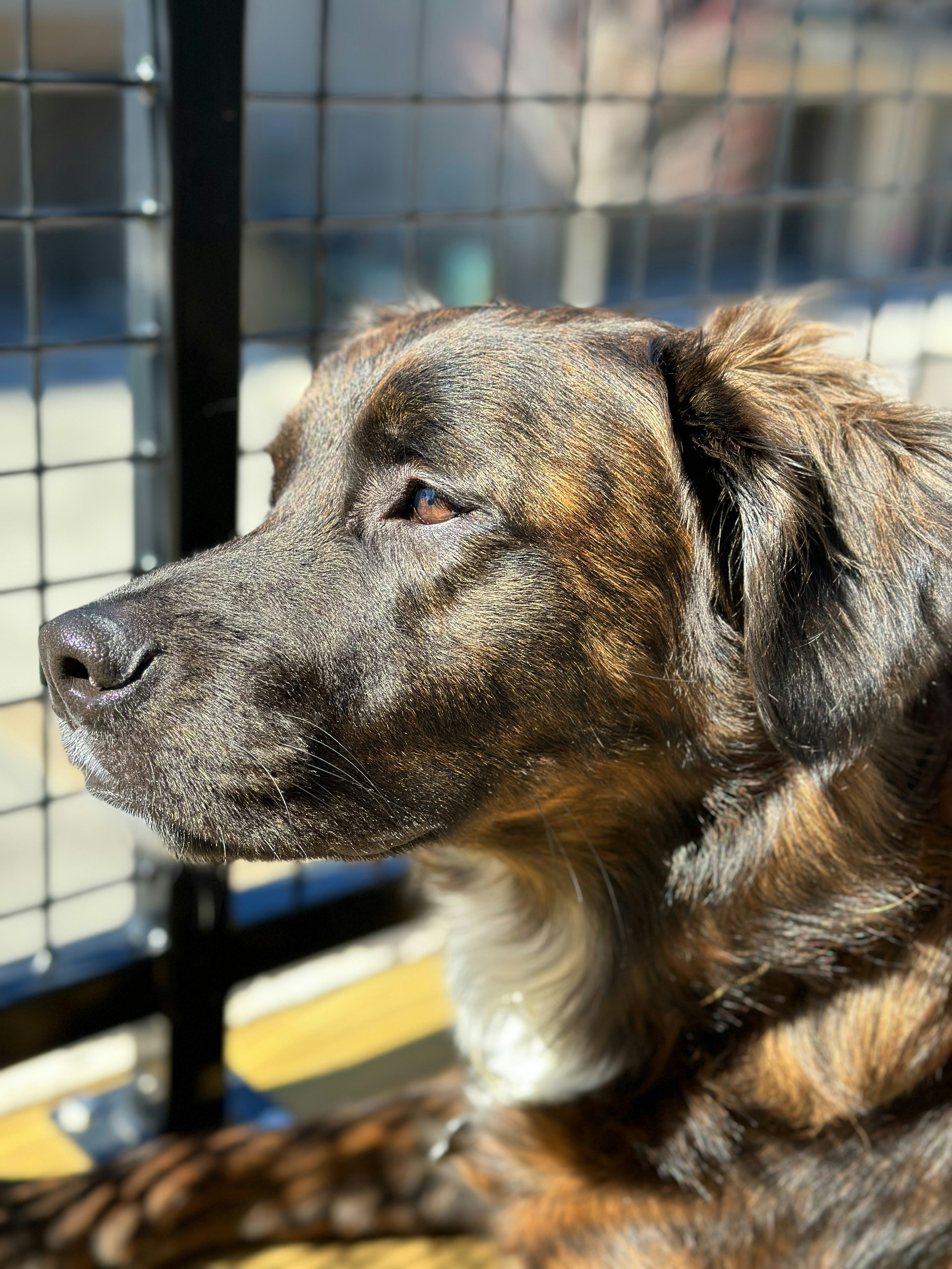 April Rivera (@_apriladriana_) | Komunitas Foto Unsplash