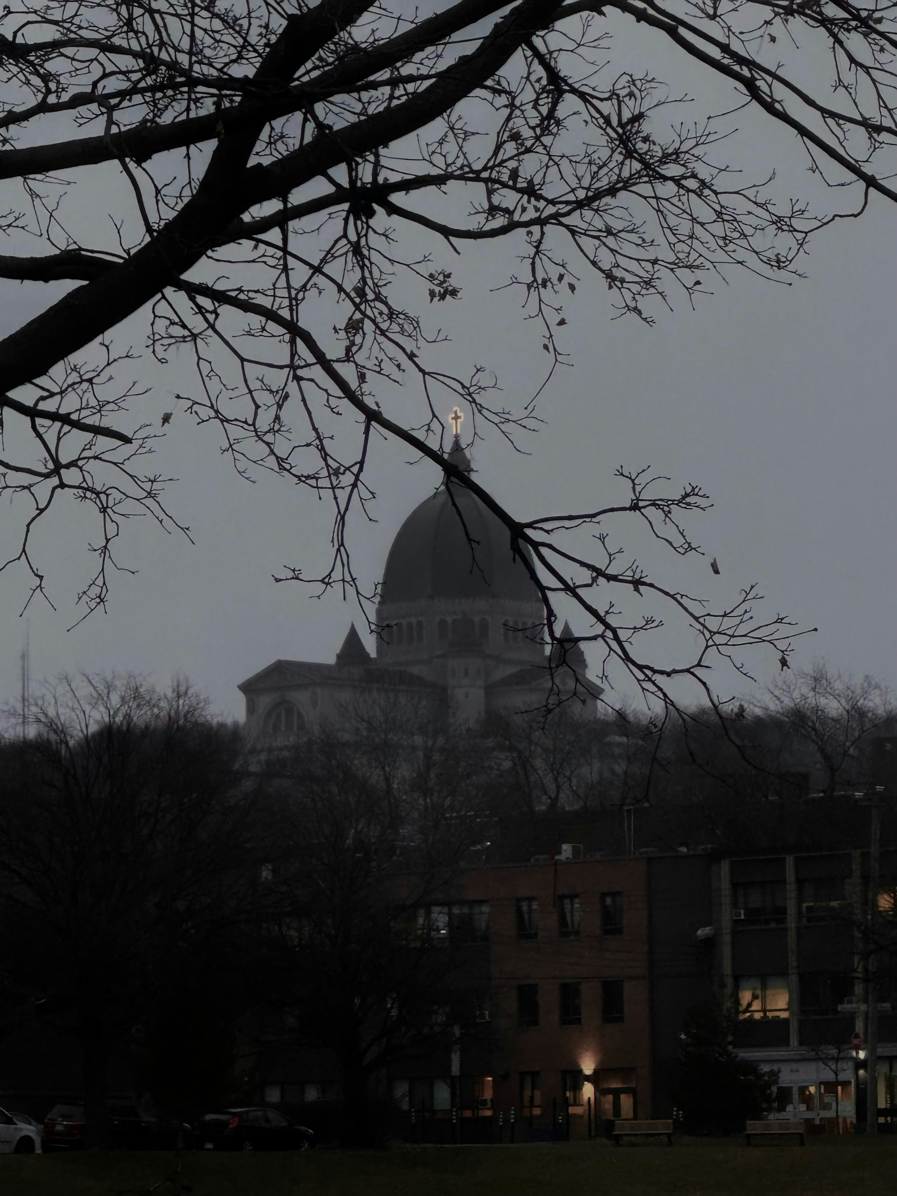 Dusk Dome Framed by Winter Branches