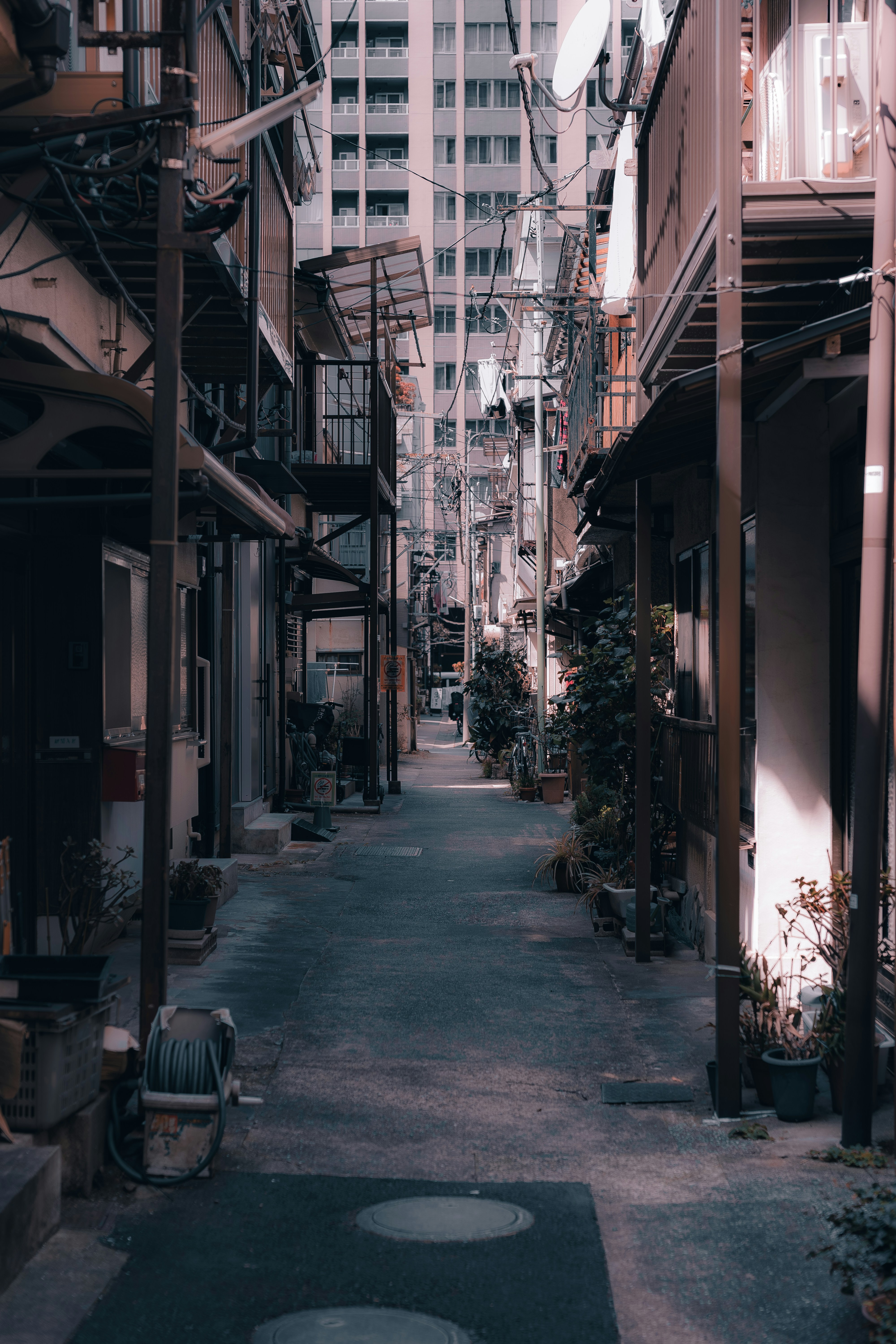 Back Alley Pictures | Download Free Images on Unsplash
