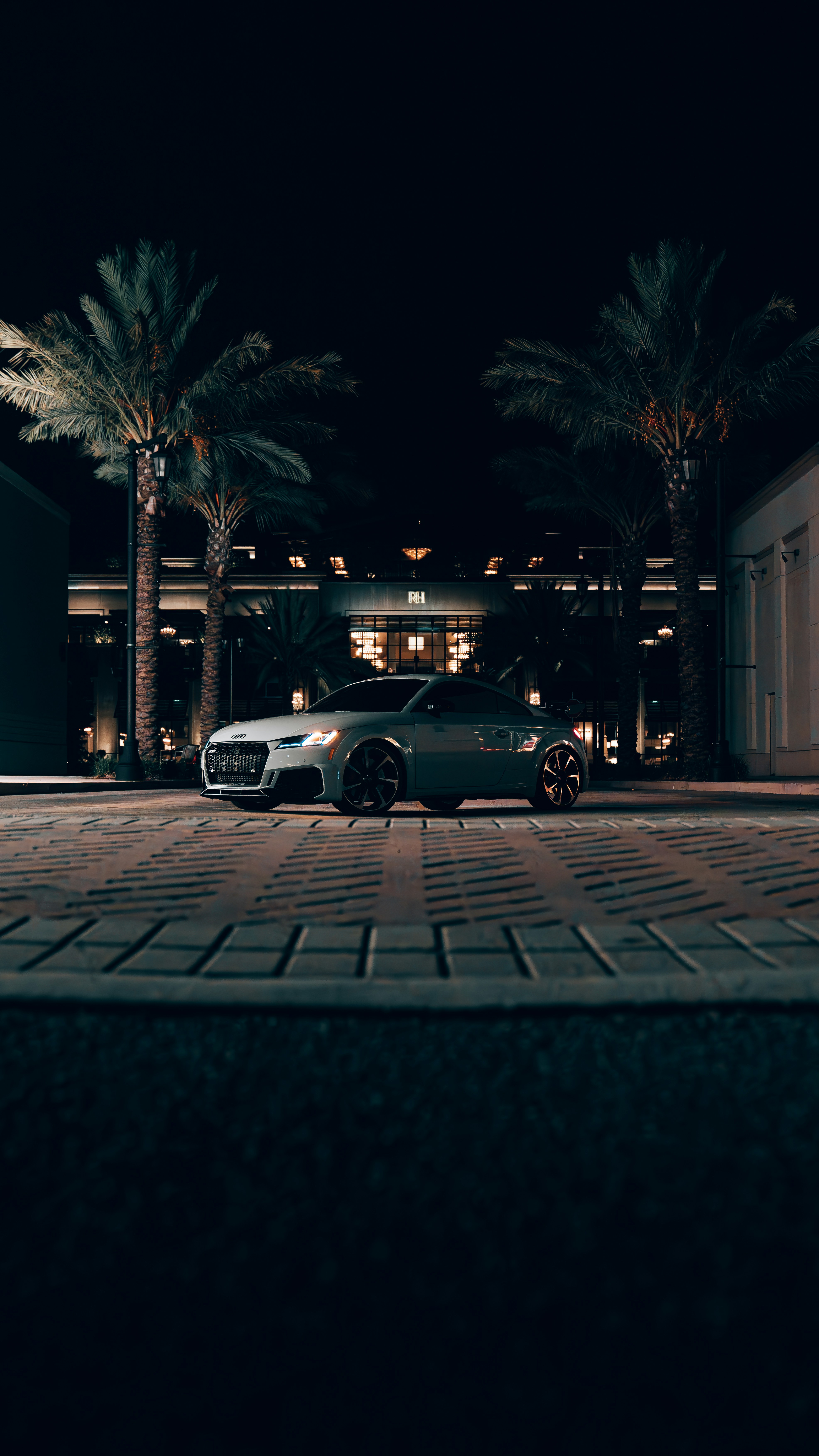 Midnight Silver Coupe in a Palm-Lit Courtyard