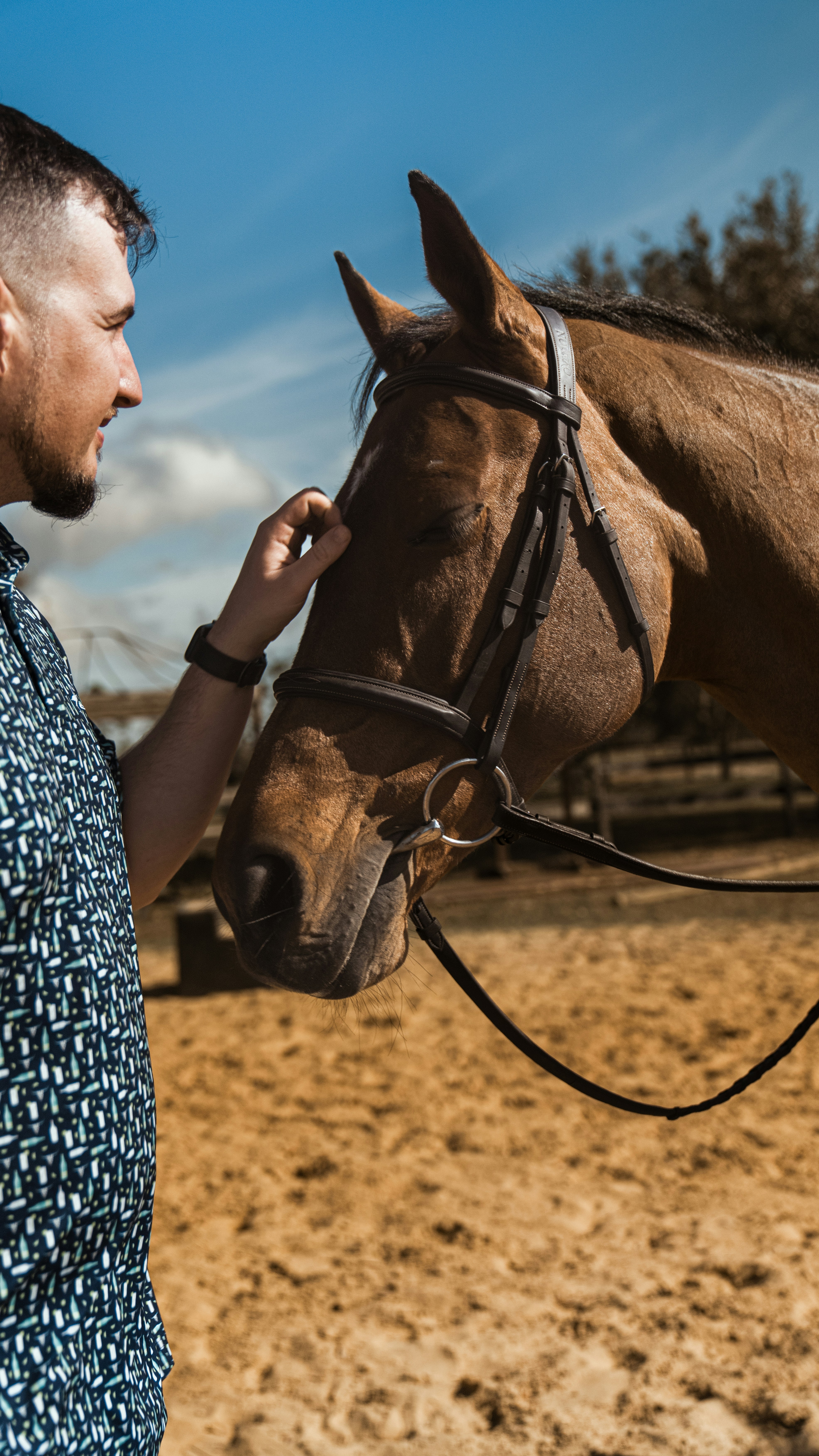 Sunlit Bond: A Quiet Moment Between Man and Horse
