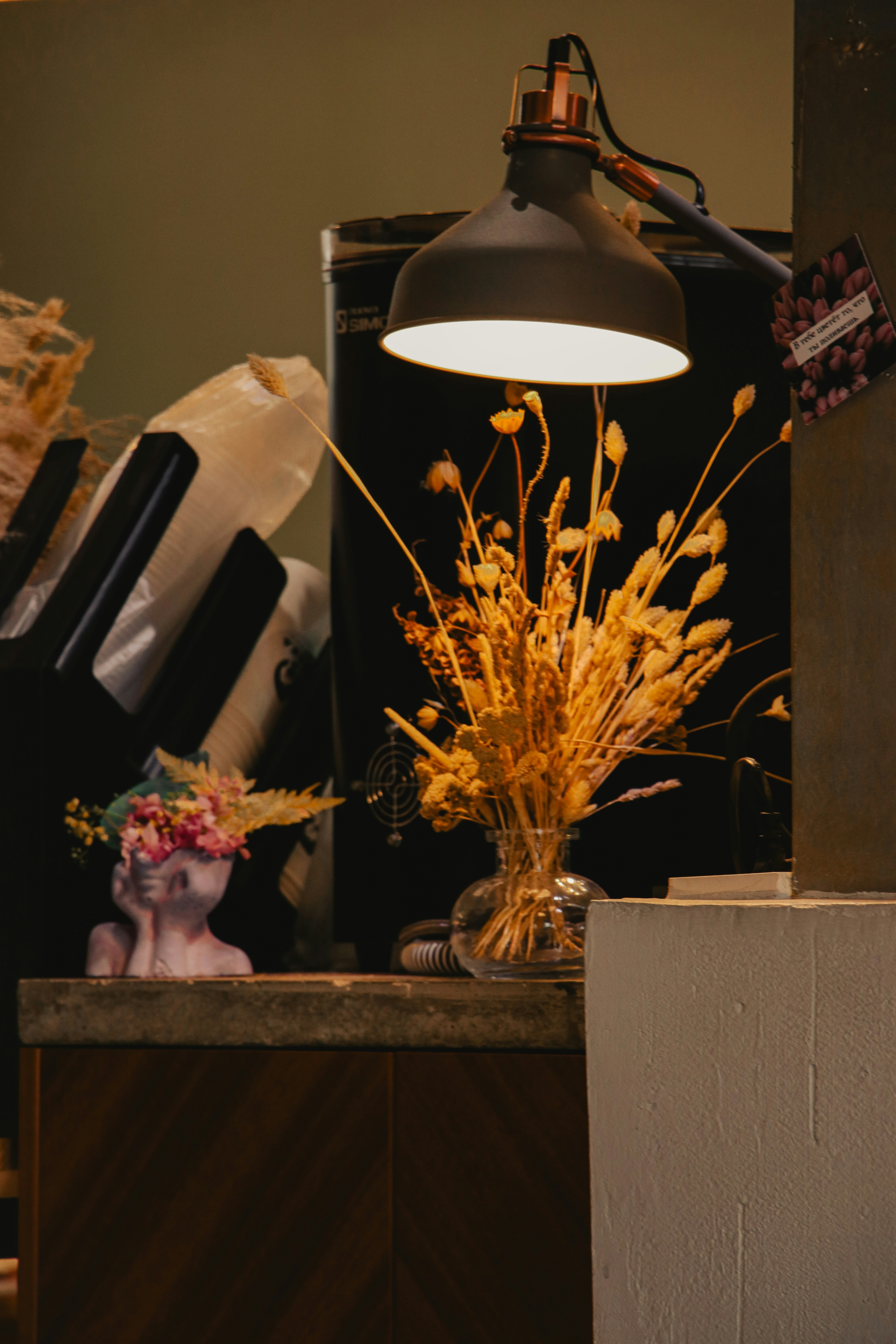 Studio still life under a warm overhead lamp